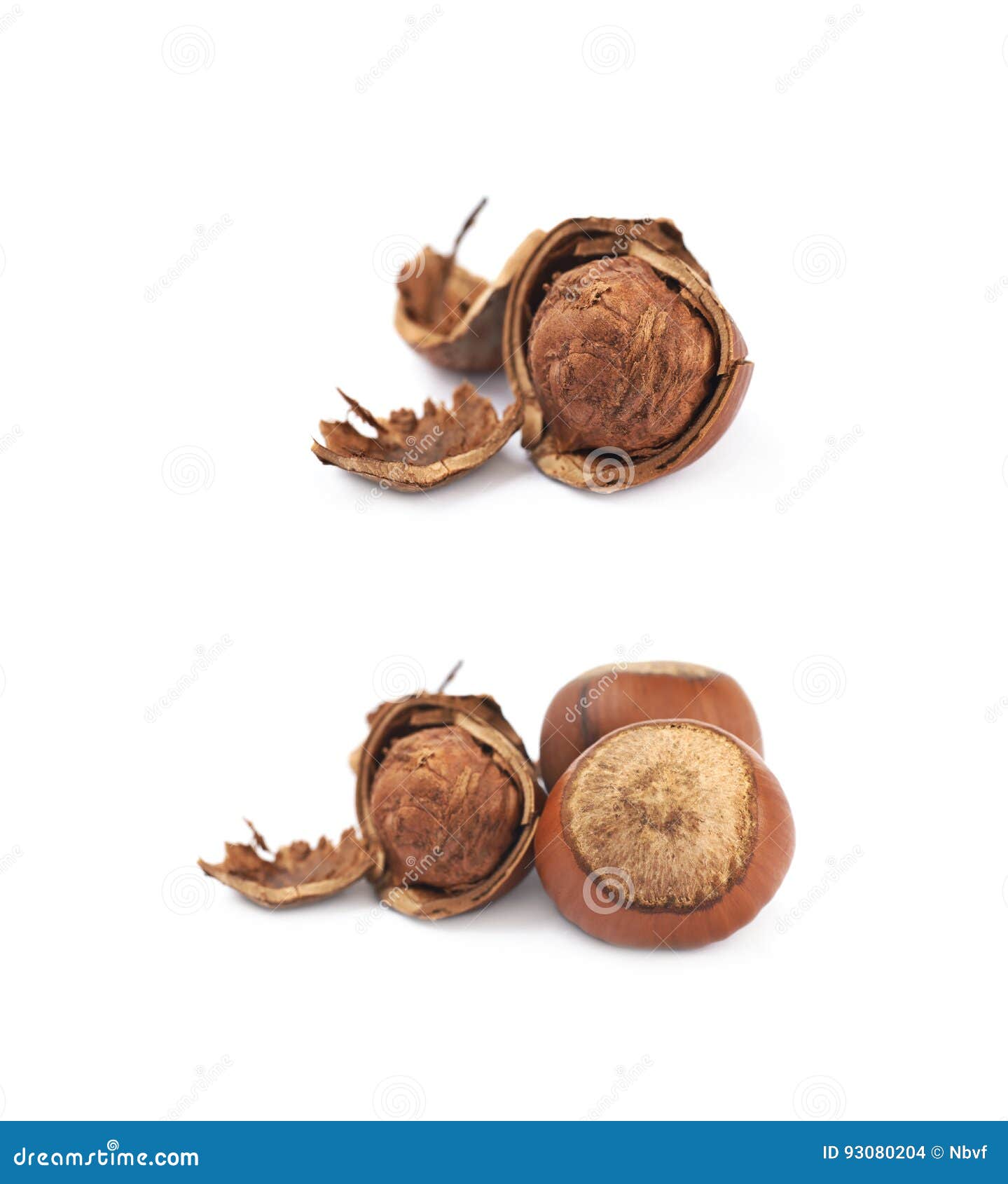 Cracked hazelnut isolated stock photo. Image of kernel - 93080204