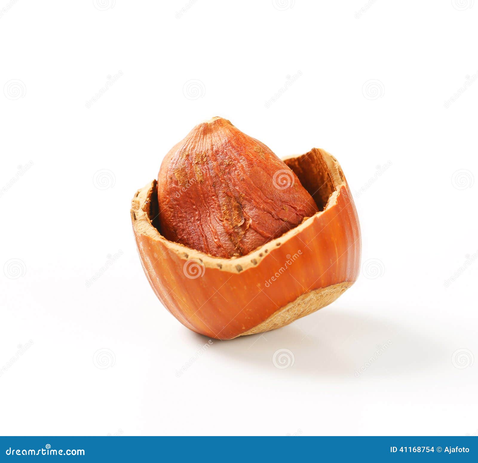 Cracked hazelnut stock photo. Image of studio, background - 41168754
