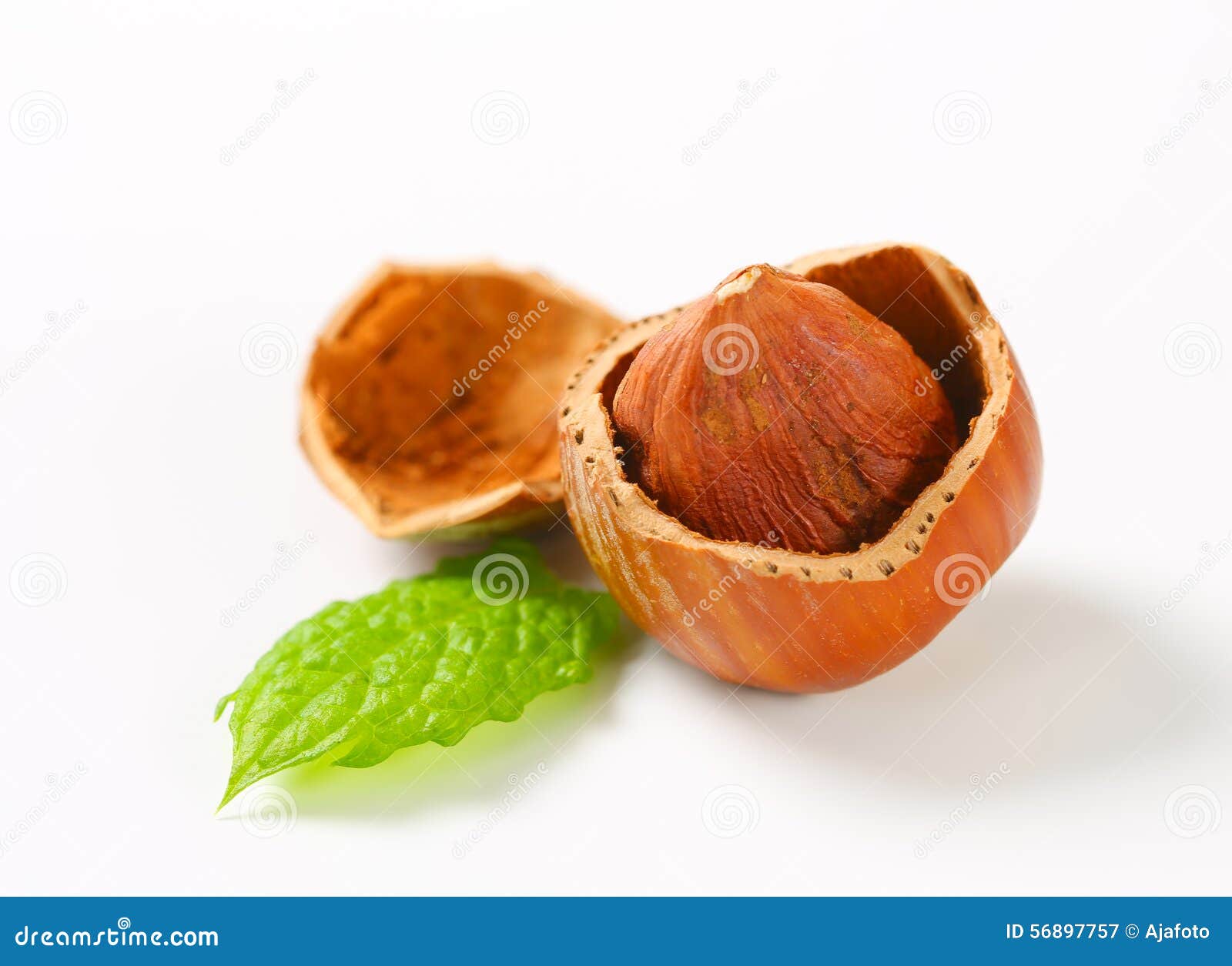 Cracked hazelnut stock image. Image of food, ripe, cracked - 56897757