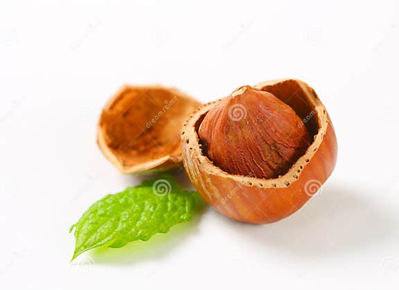 Cracked hazelnut stock image. Image of food, ripe, cracked - 56897757
