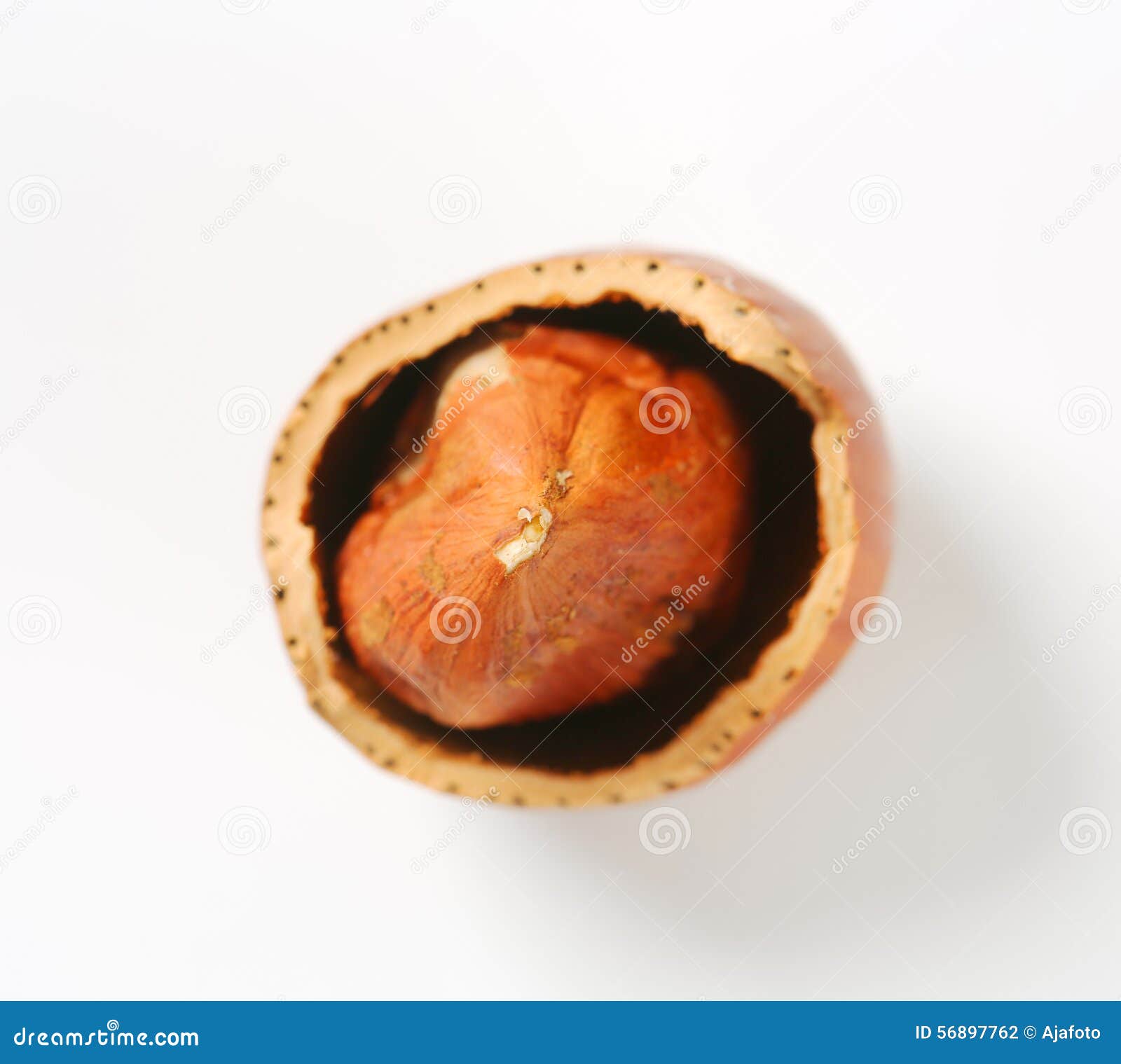 Cracked hazelnut stock photo. Image of shot, cracked - 56897762