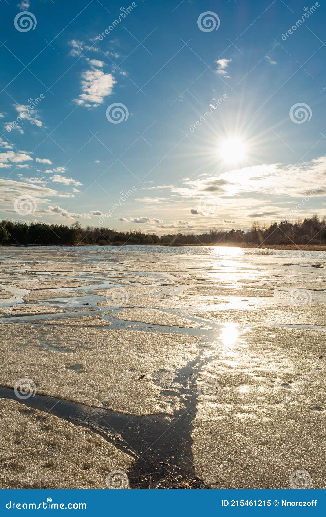 Cracked Ice Melts Under the Sun on a Forest Lake. Spring Landscape with ...