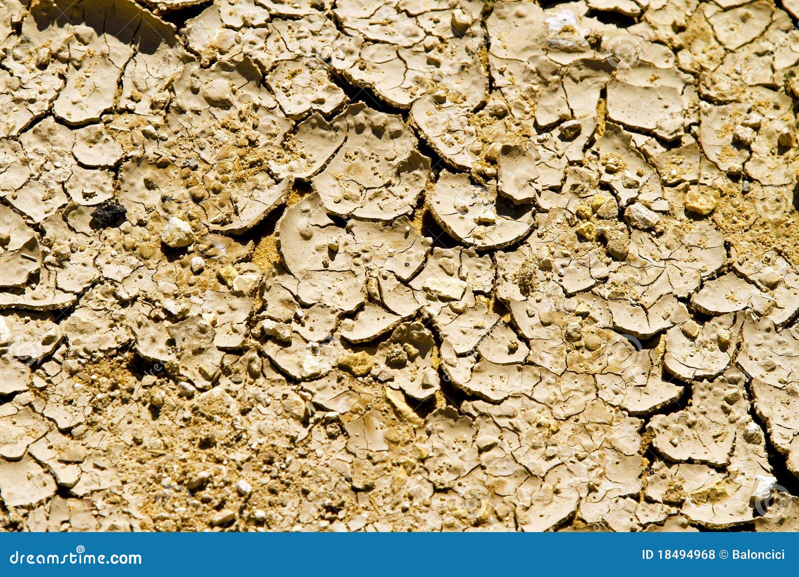 Cracked land stock photo. Image of cracks, drought, earth - 18494968