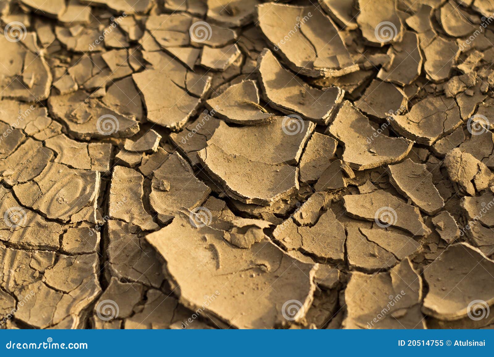 Cracked land stock image. Image of dead, ecology, desertification ...