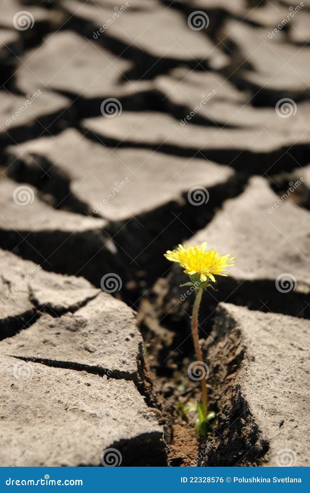 Cracked land stock photo. Image of desert, barren, global - 22328576