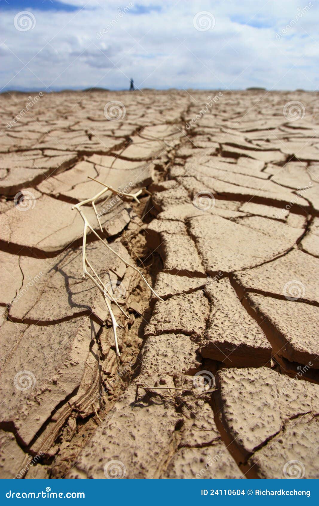 Cracked Land stock photo. Image of contrasts, farming - 24110604