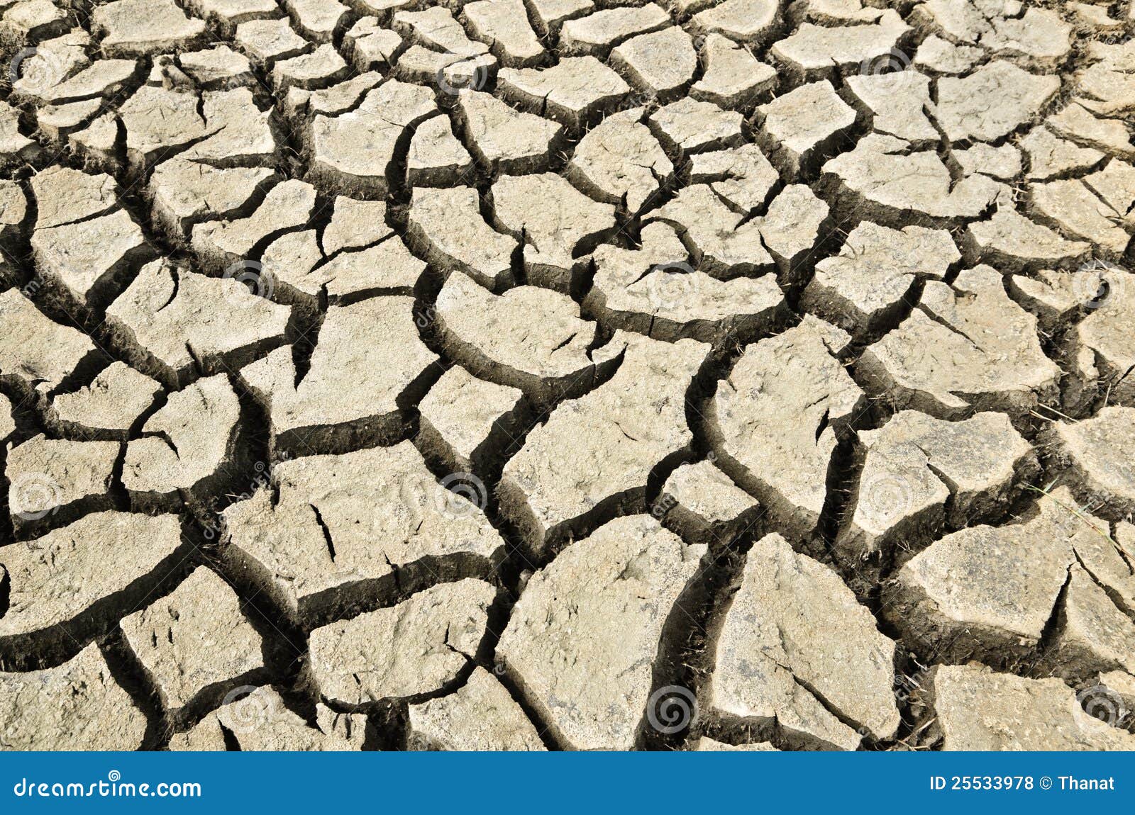 Cracked land stock photo. Image of extreme, environment - 25533978