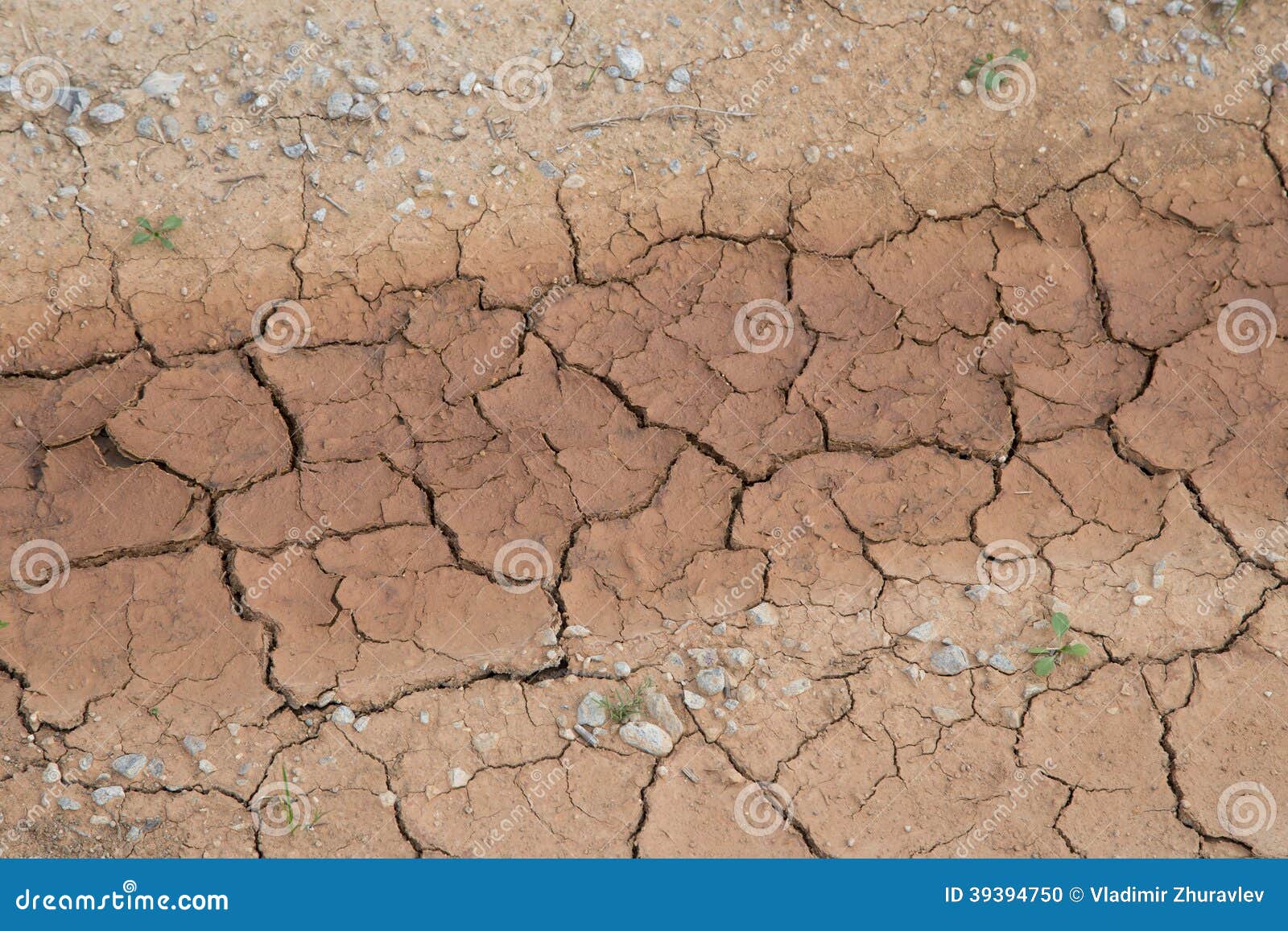 Cracked Land Caused by Drought Stock Photo - Image of sedimentary ...