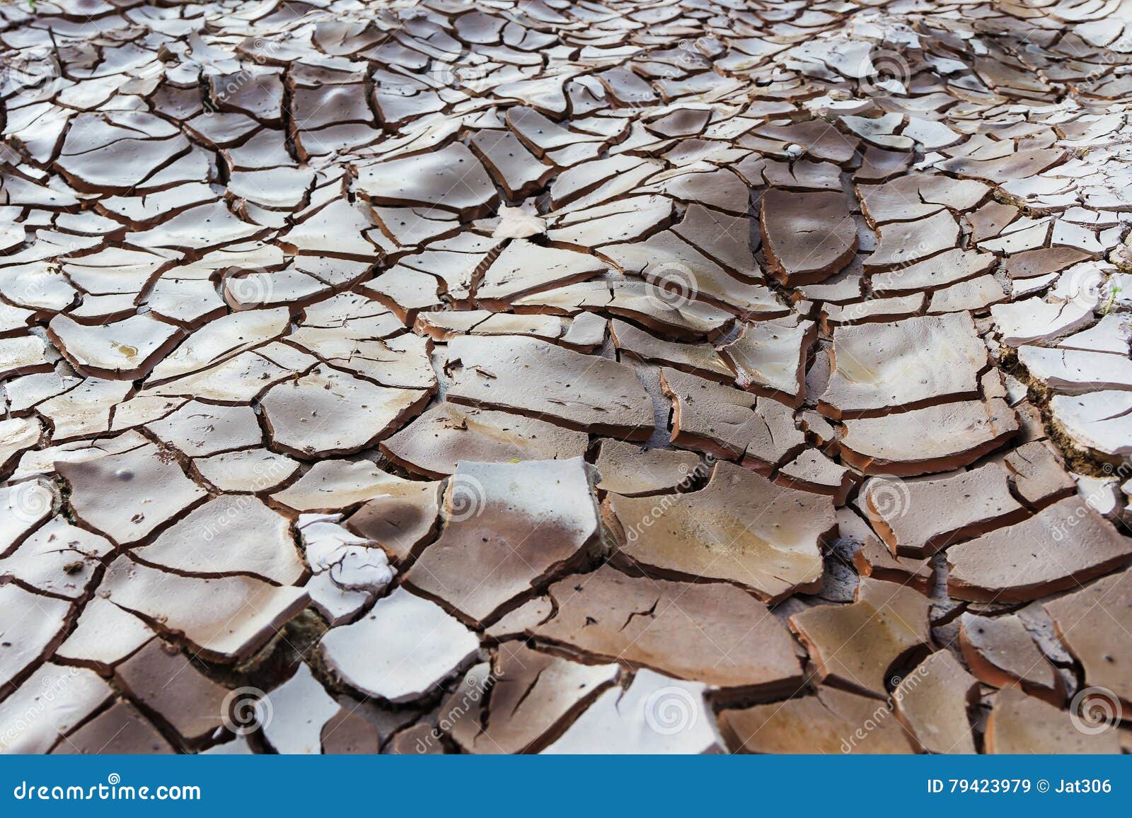 Cracked land stock image. Image of arid, barren, land - 79423979