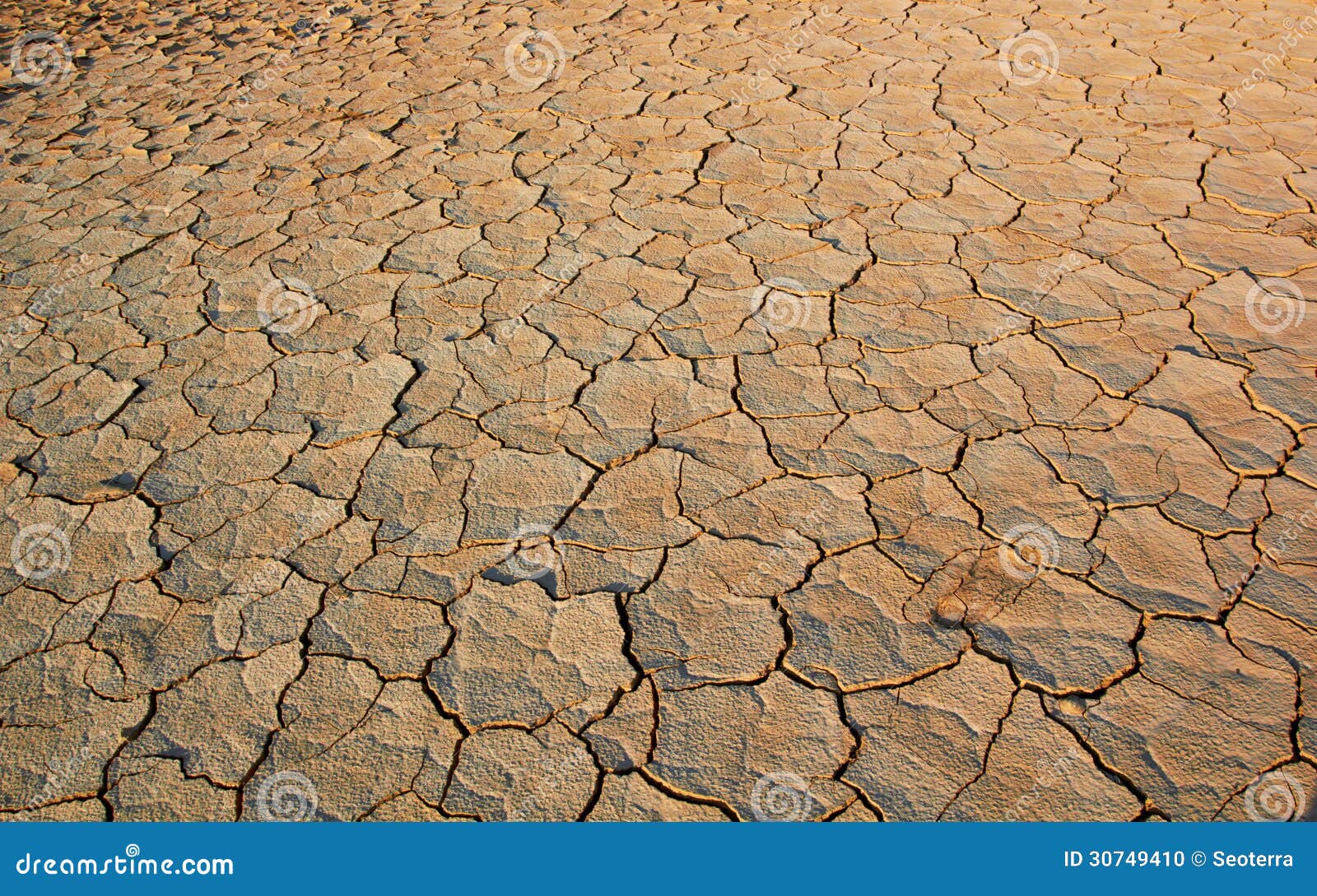 Cracked land soil texture stock photo. Image of nature - 30749410