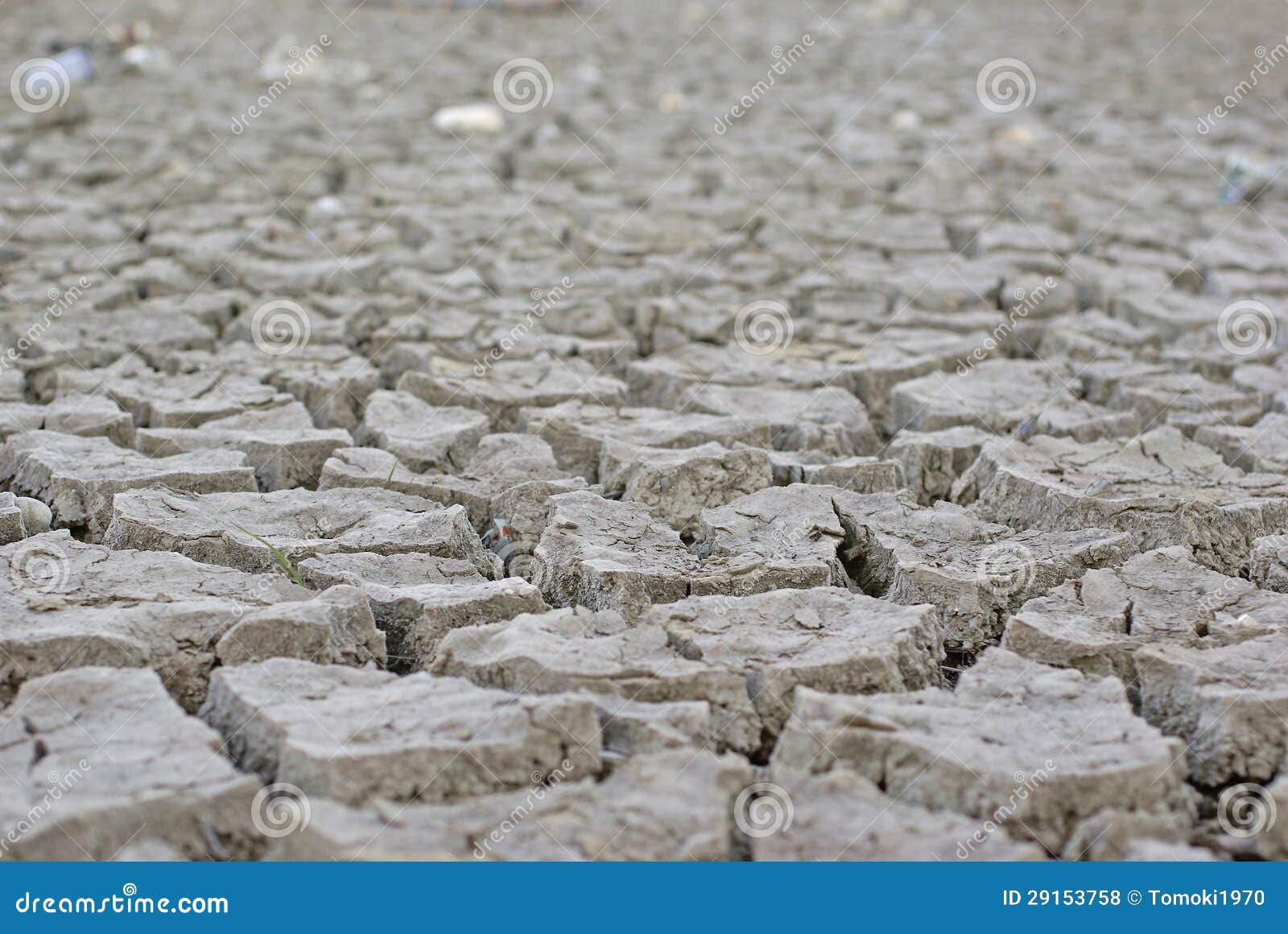 Cracked Land with Some Trash Stock Photo - Image of barren, damaged ...