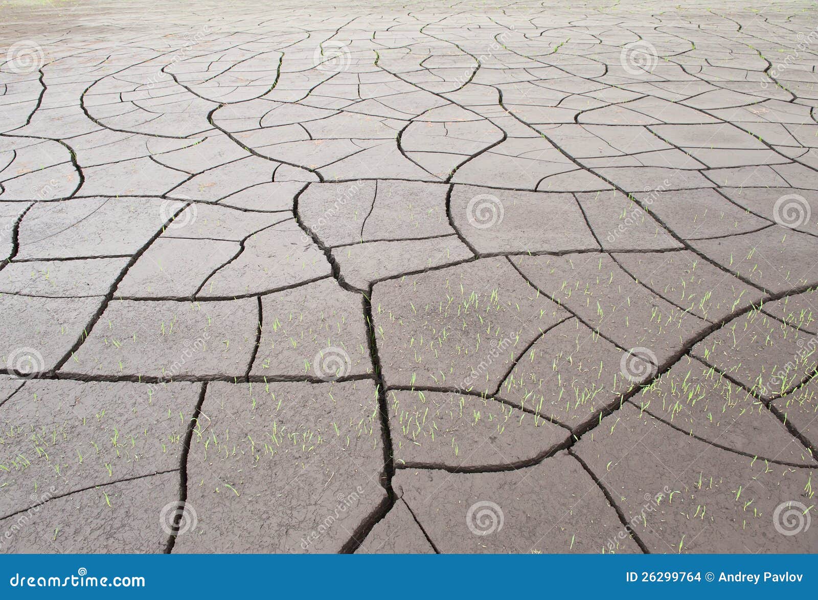 Cracked Land Texture with Grass Stock Photo - Image of grass, global ...