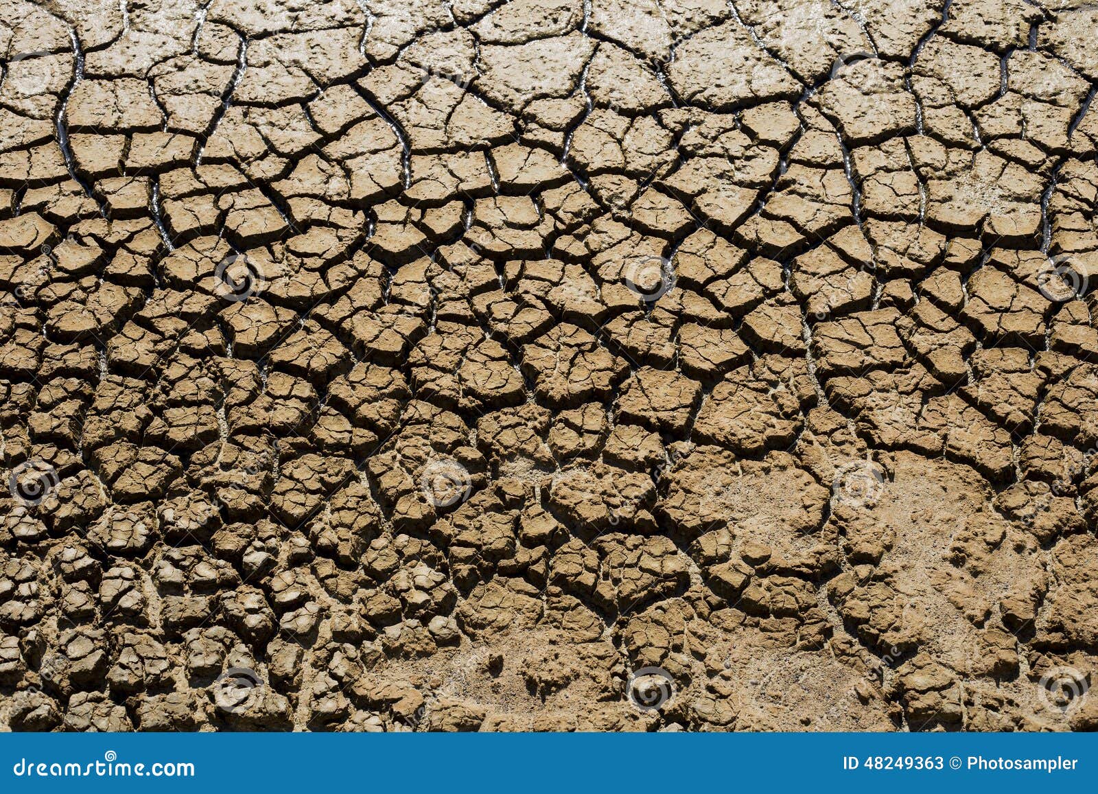 Cracked land texture stock image. Image of close, dirt - 48249363