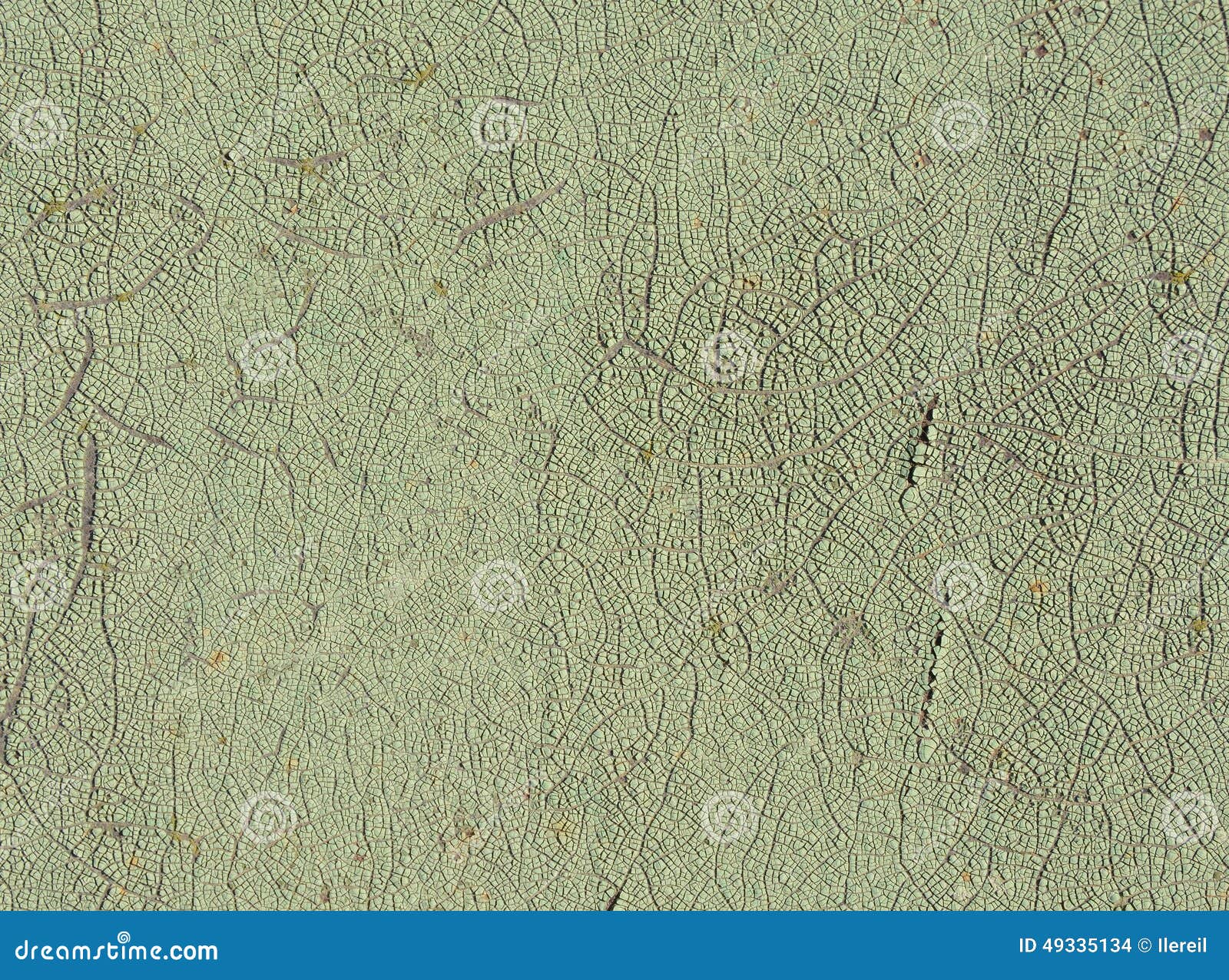 Cracked light green paint stock photo. Image of cracked - 49335134