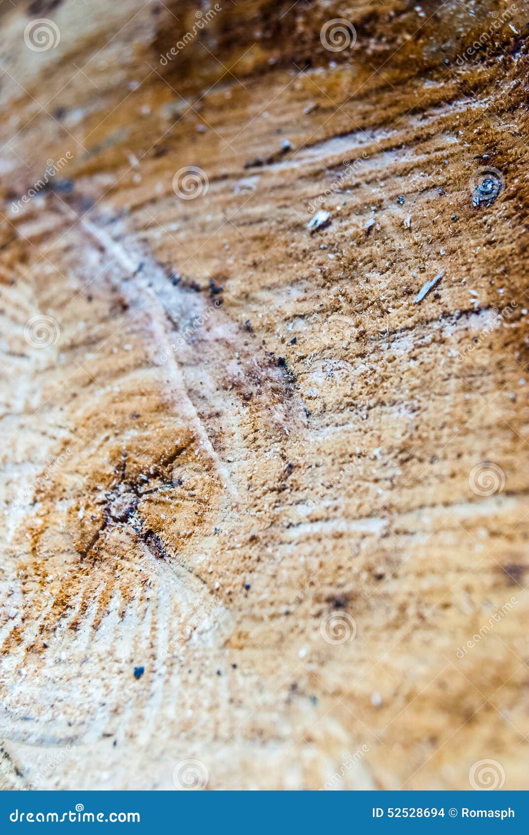Cracked log stock photo. Image of grey, central, round - 52528694