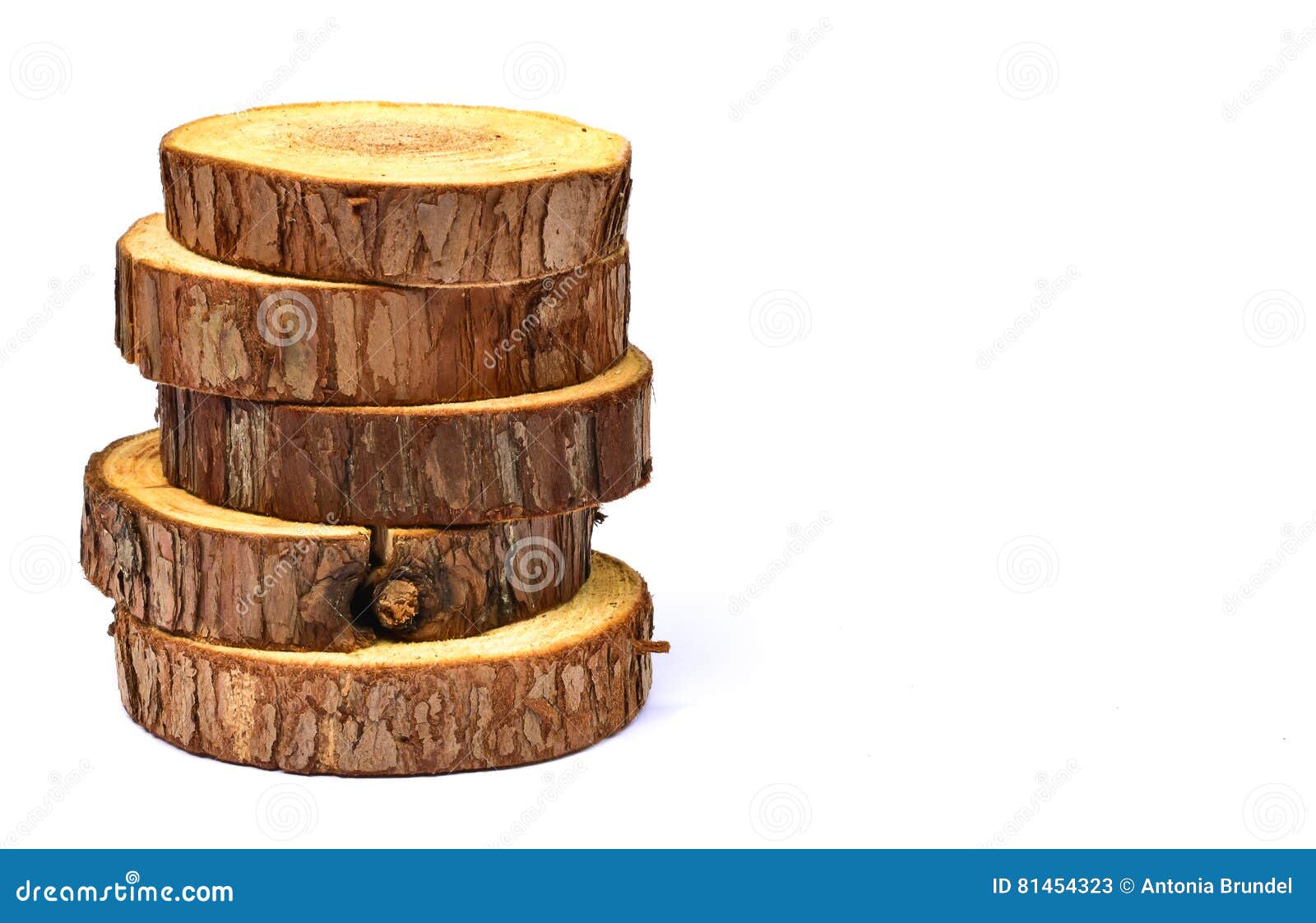 Cut timber slices stock image. Image of material, slices - 81454323