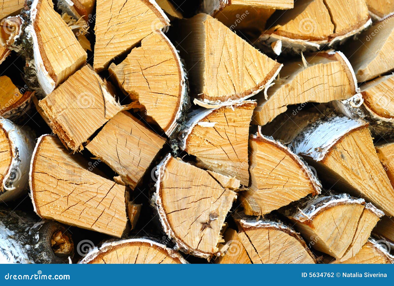 Cracked Logs stock photo. Image of conservation, brown - 5634762