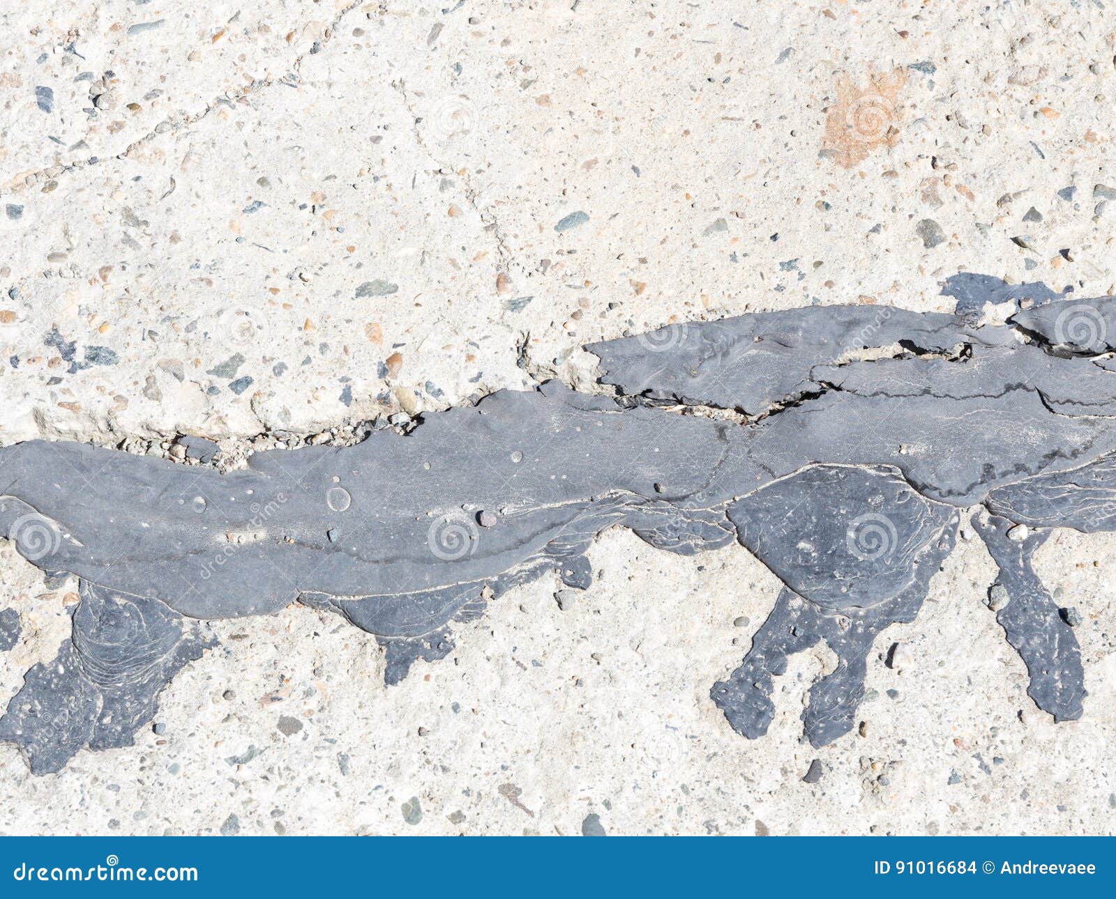 Cracked Mastic Crack in Concrete Stock Photo - Image of texture, rough ...