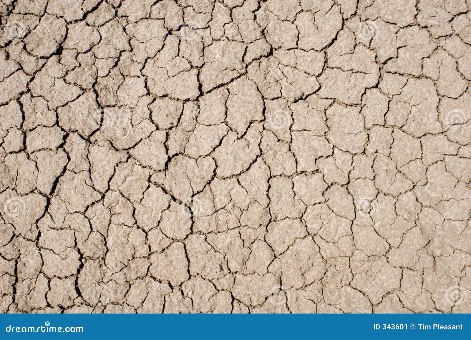 Cracked mud stock image. Image of ground, brown, crack - 343601