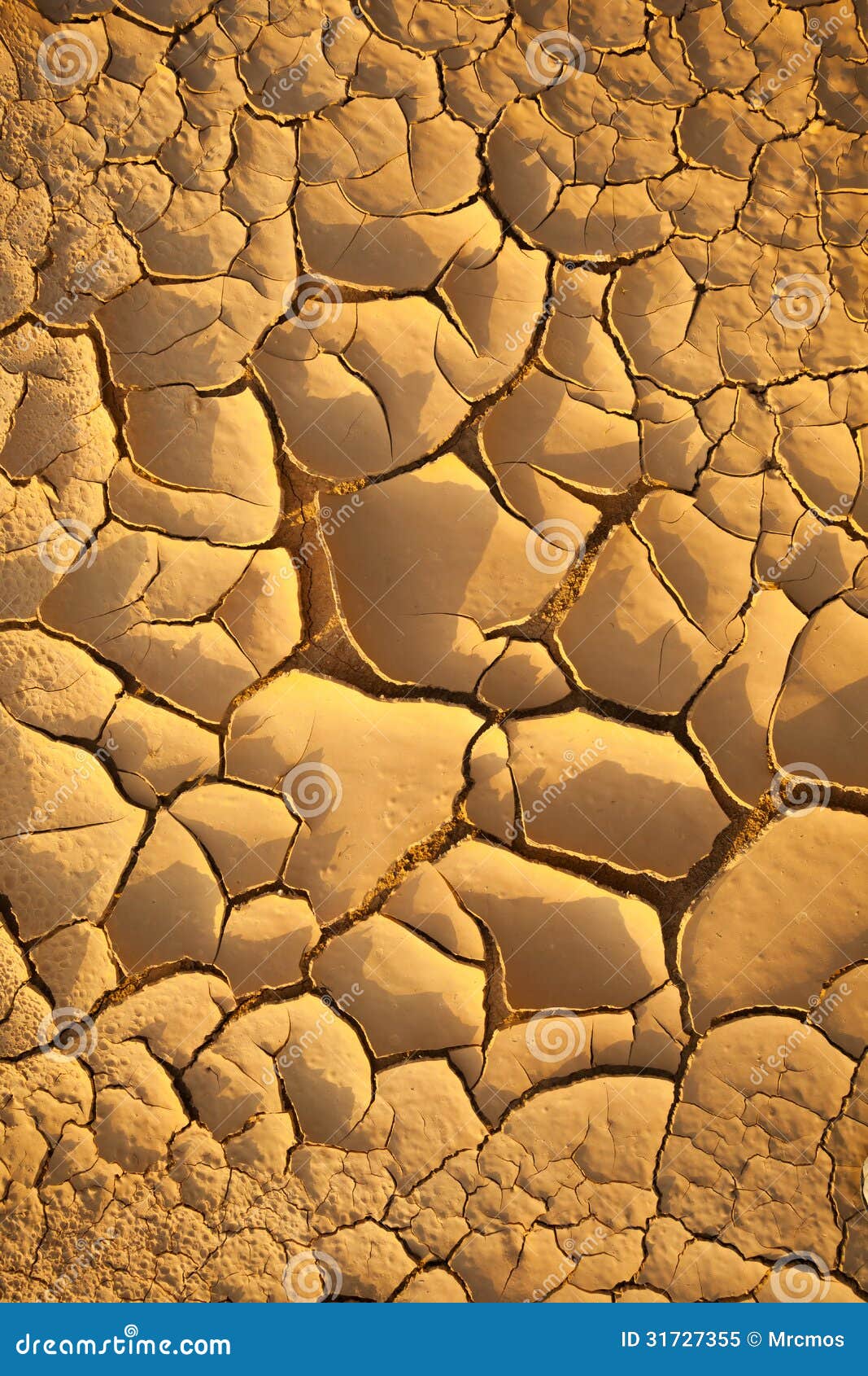 Cracked mud stock image. Image of nature, ground, dirty - 31727355