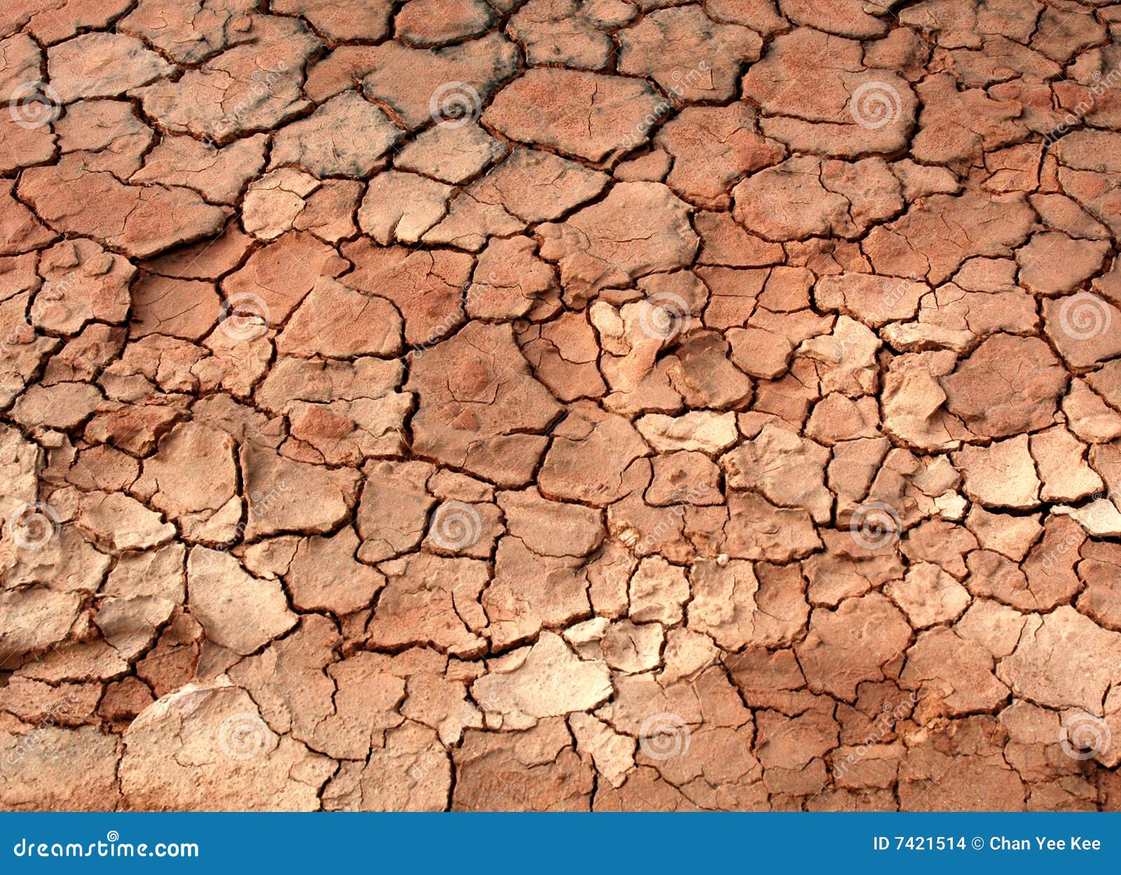 Cracked mud ground stock photo. Image of arid, drought - 7421514