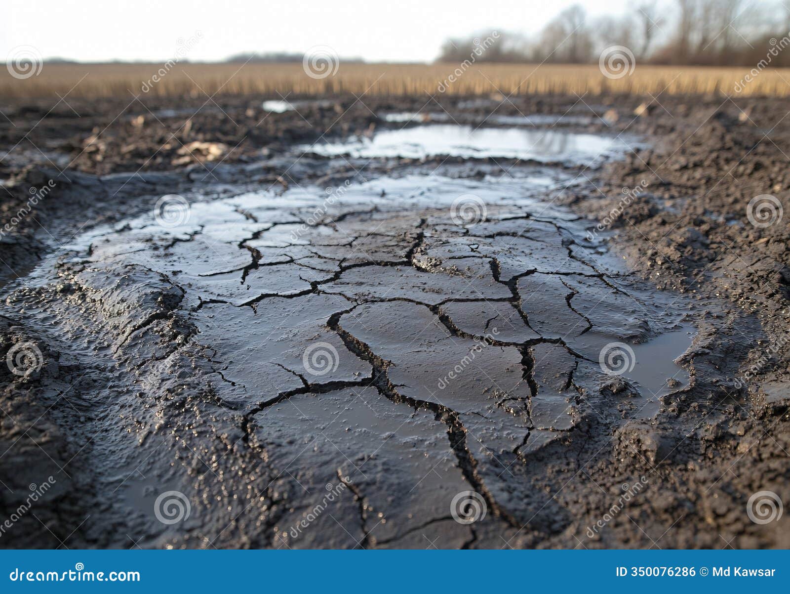 Cracked Mud Ground Texture Dry Soil Field High Quality Image Stock ...