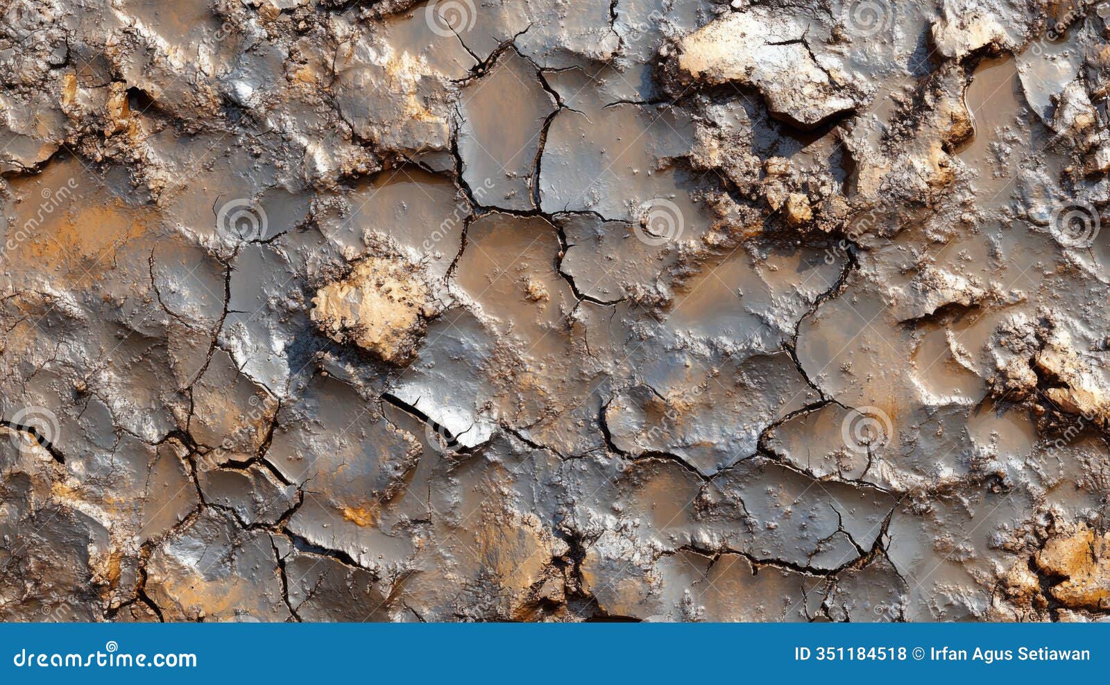 Cracked Mud Surface Showing Texture and Water Patches Stock ...