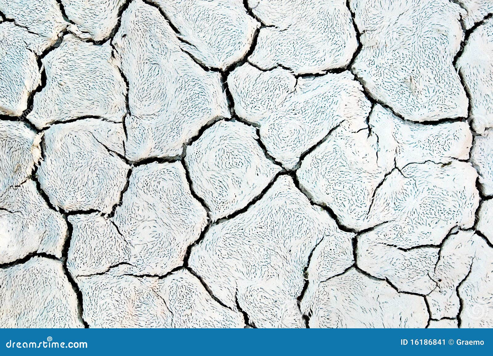 Cracked mud texture stock image. Image of earth, drought - 16186841
