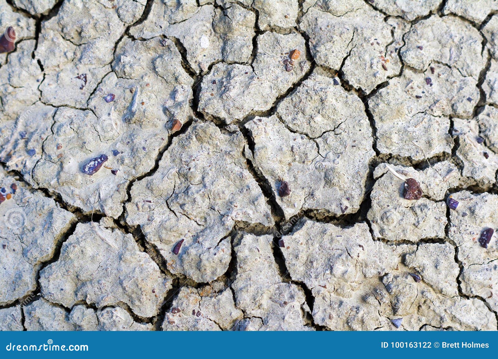 Cracked Mud Texture of Dry Ground Stock Photo - Image of dryness ...