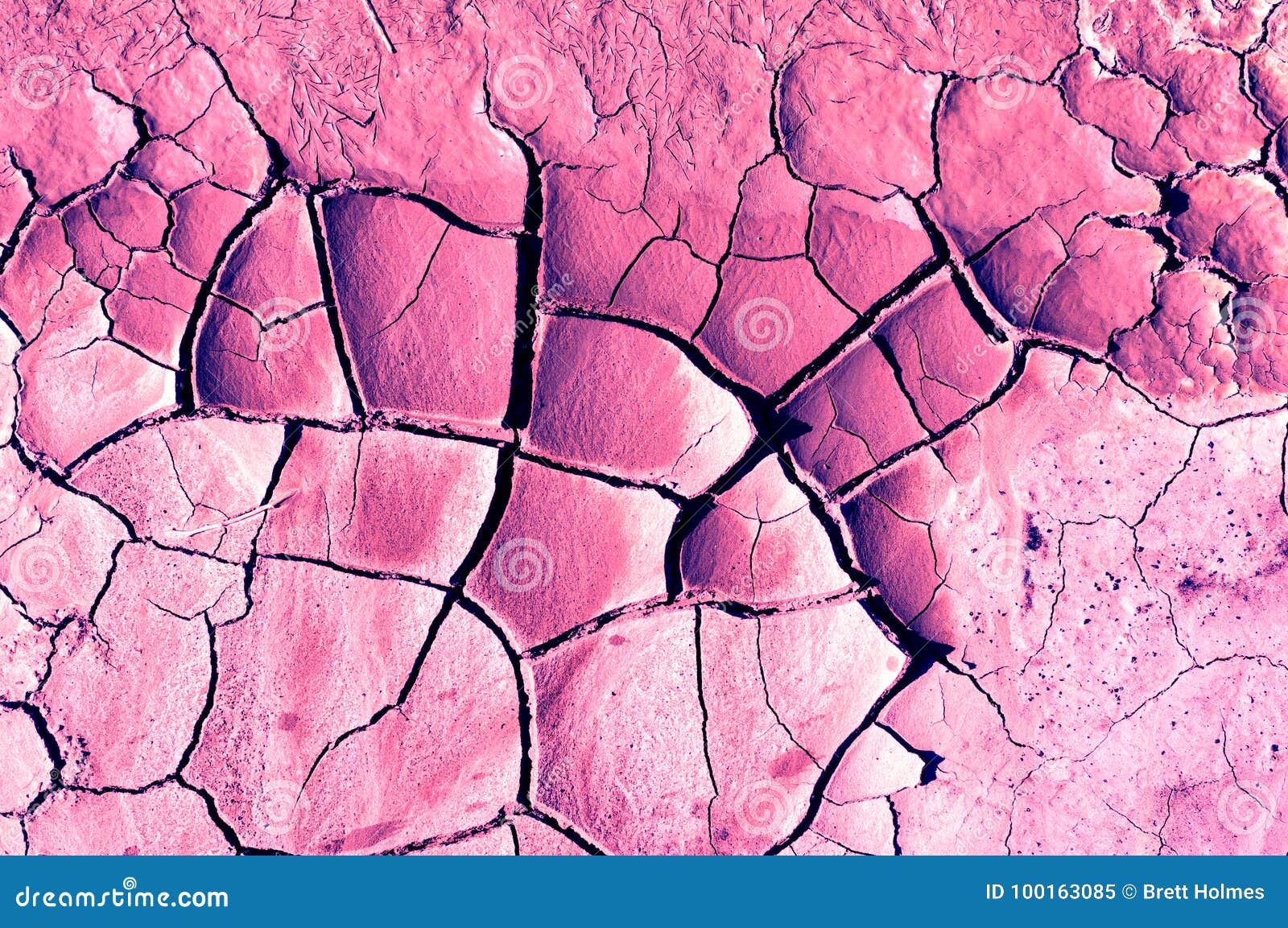 Cracked Mud Texture Dry Ground Pink Stock Image - Image of geology ...