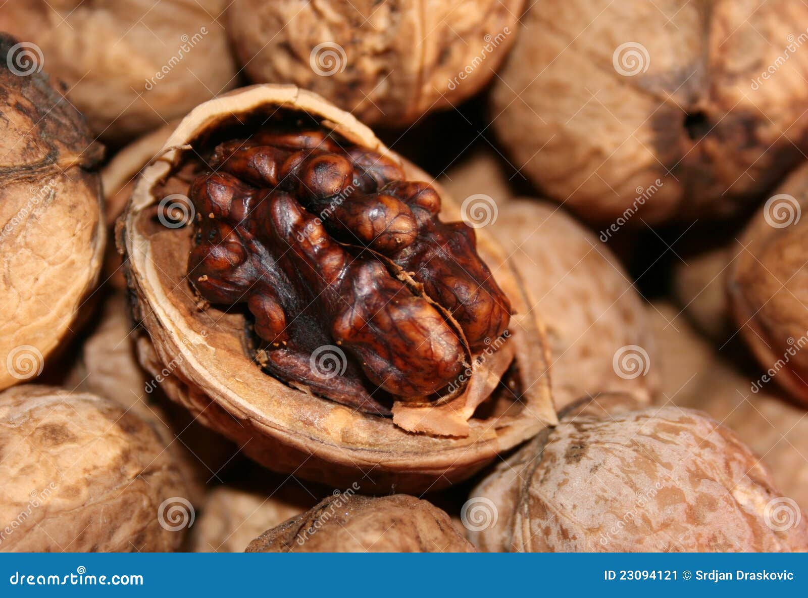 Cracked nut stock image. Image of tasty, shell, brown - 23094121