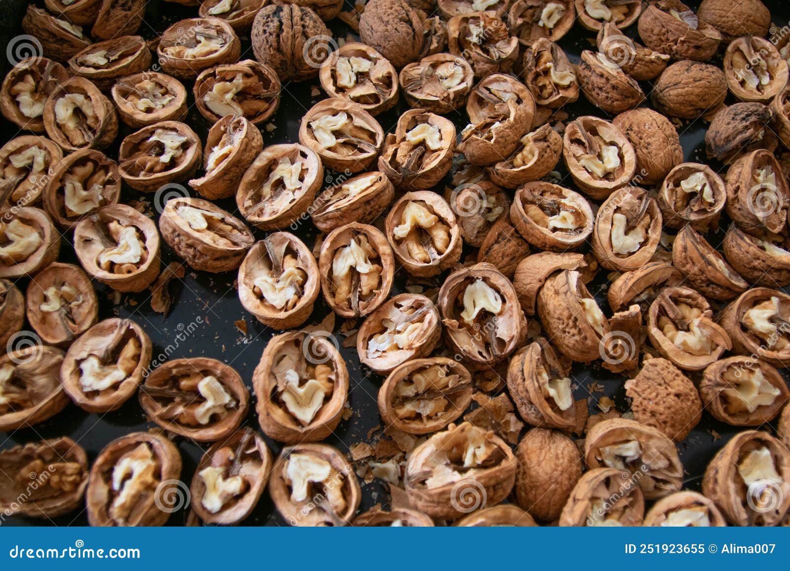 Cracked Nuts, Nuts on Eating Stock Image - Image of wood, caffeine ...