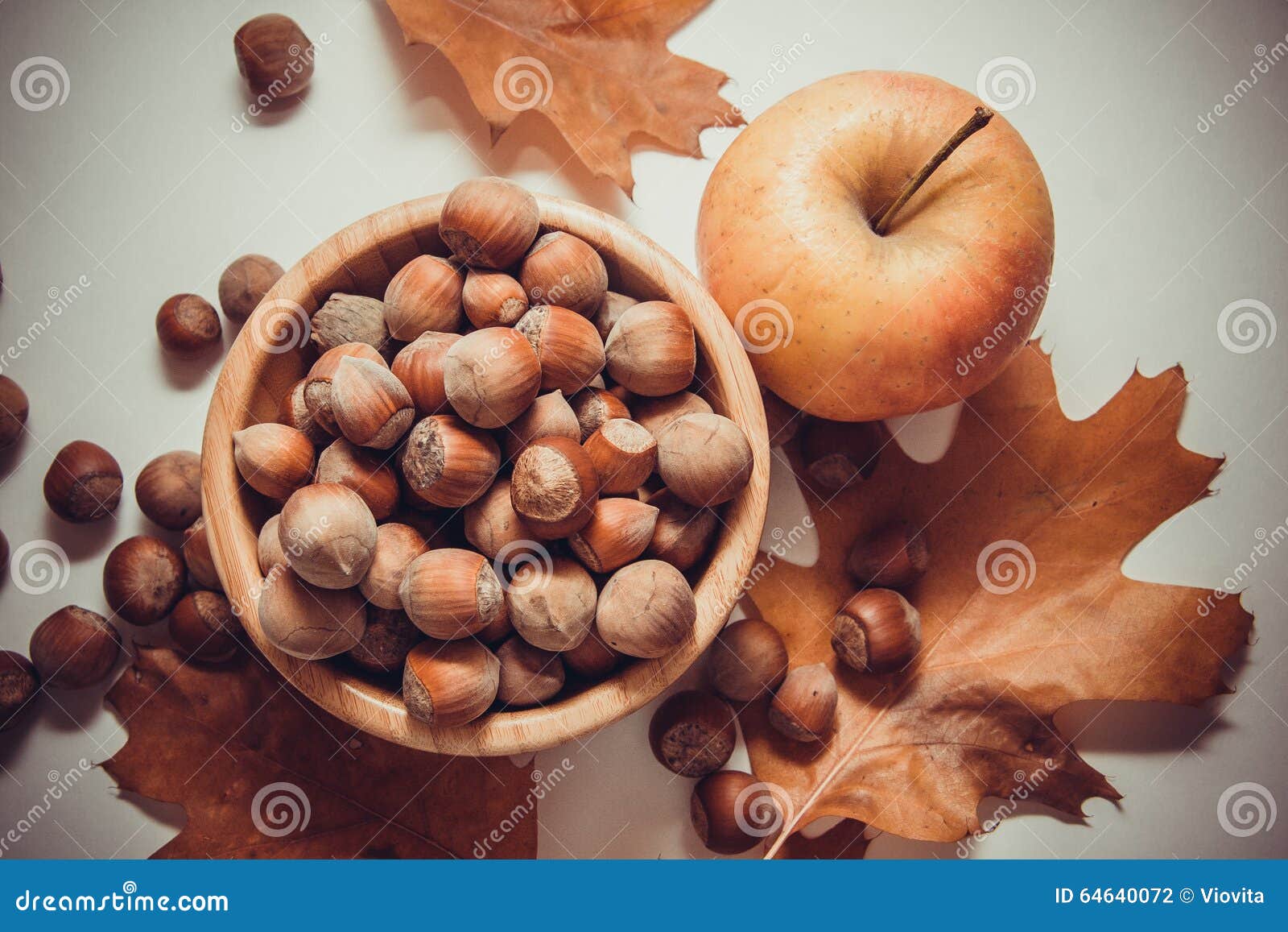 Cracked nuts stock photo. Image of cleave, brown, breakfast - 64640072