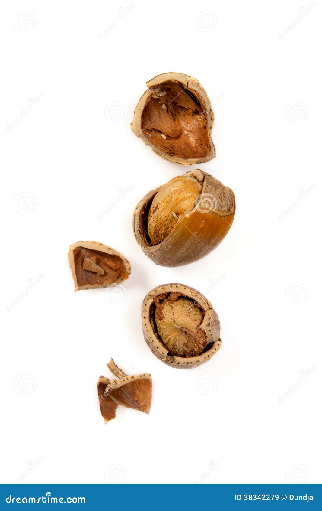 Cracked nuts stock image. Image of group, nutrition, nature - 38342279