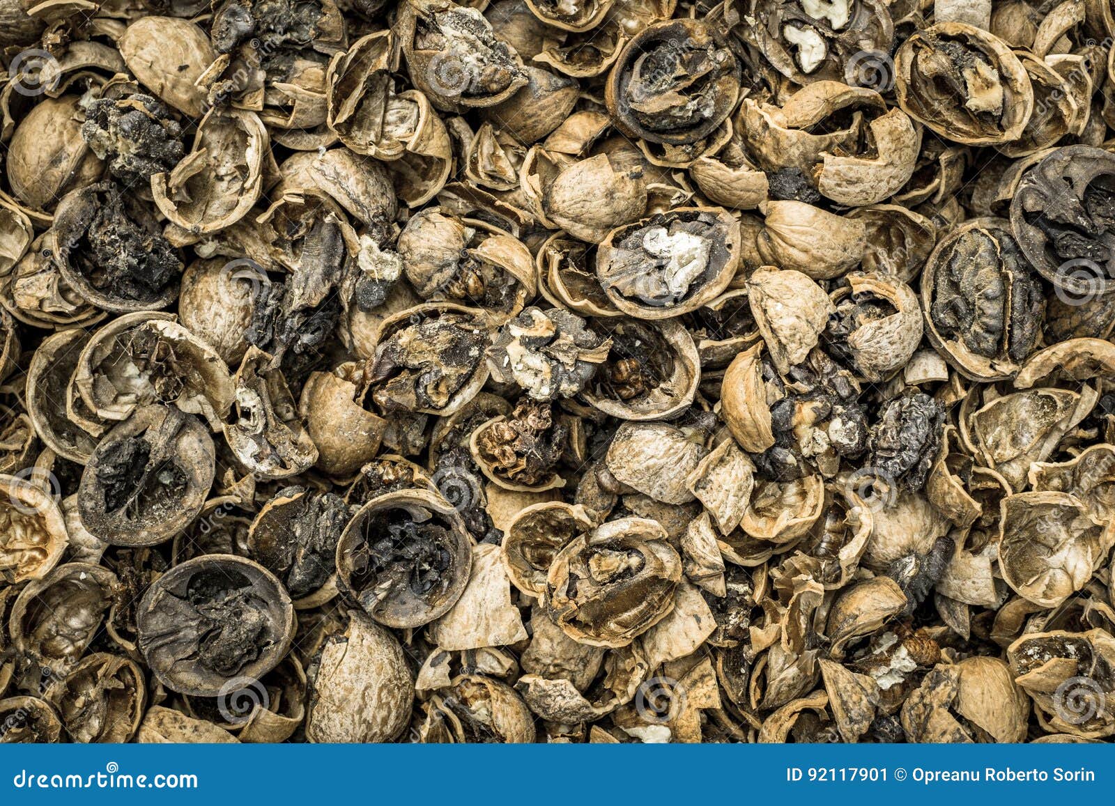 Cracked Nuts Rotten with Mold Stock Image - Image of rotten, food: 92117901