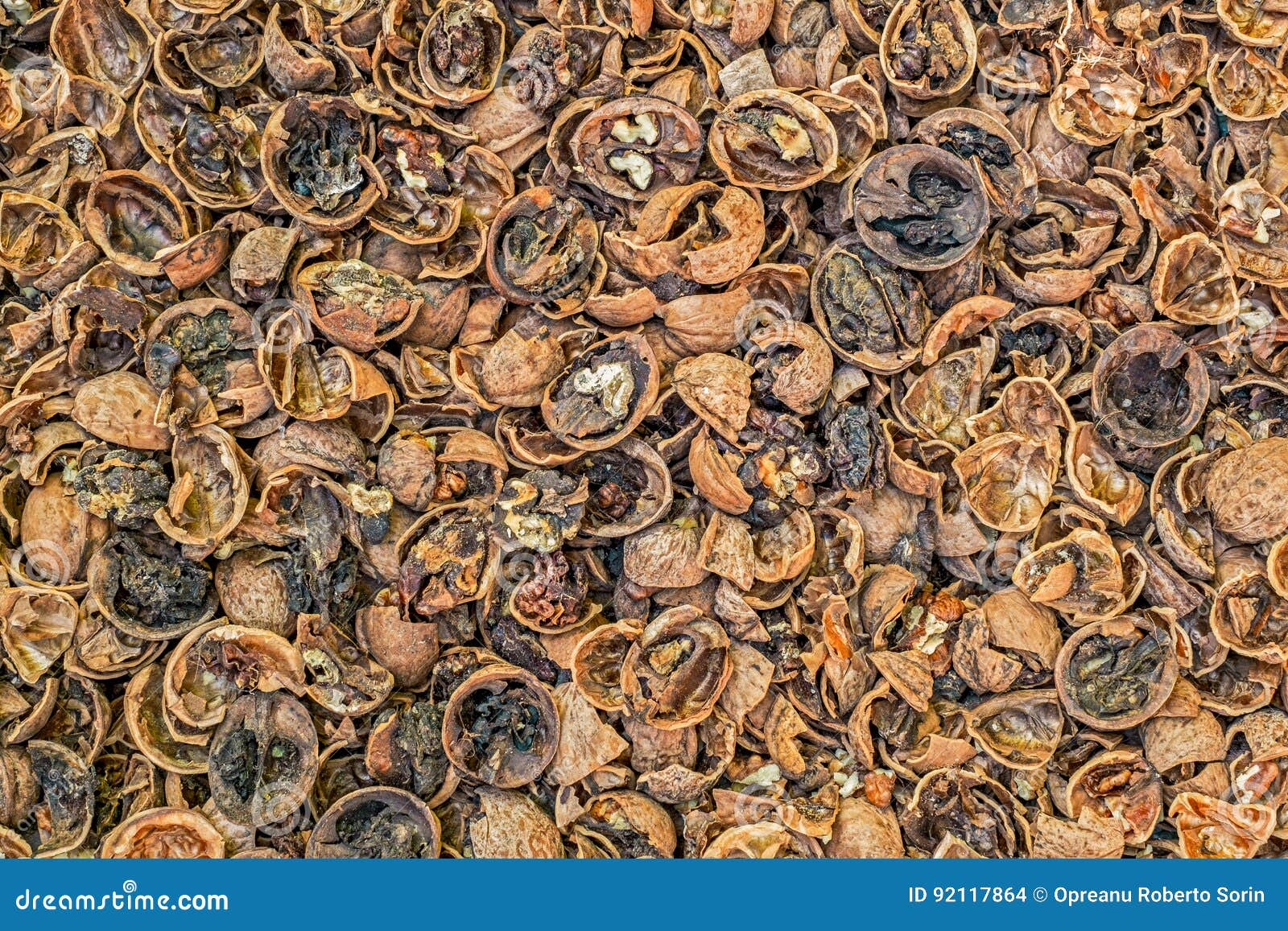 Cracked Nuts Rotten with Mold Stock Photo - Image of cracked, closeup ...