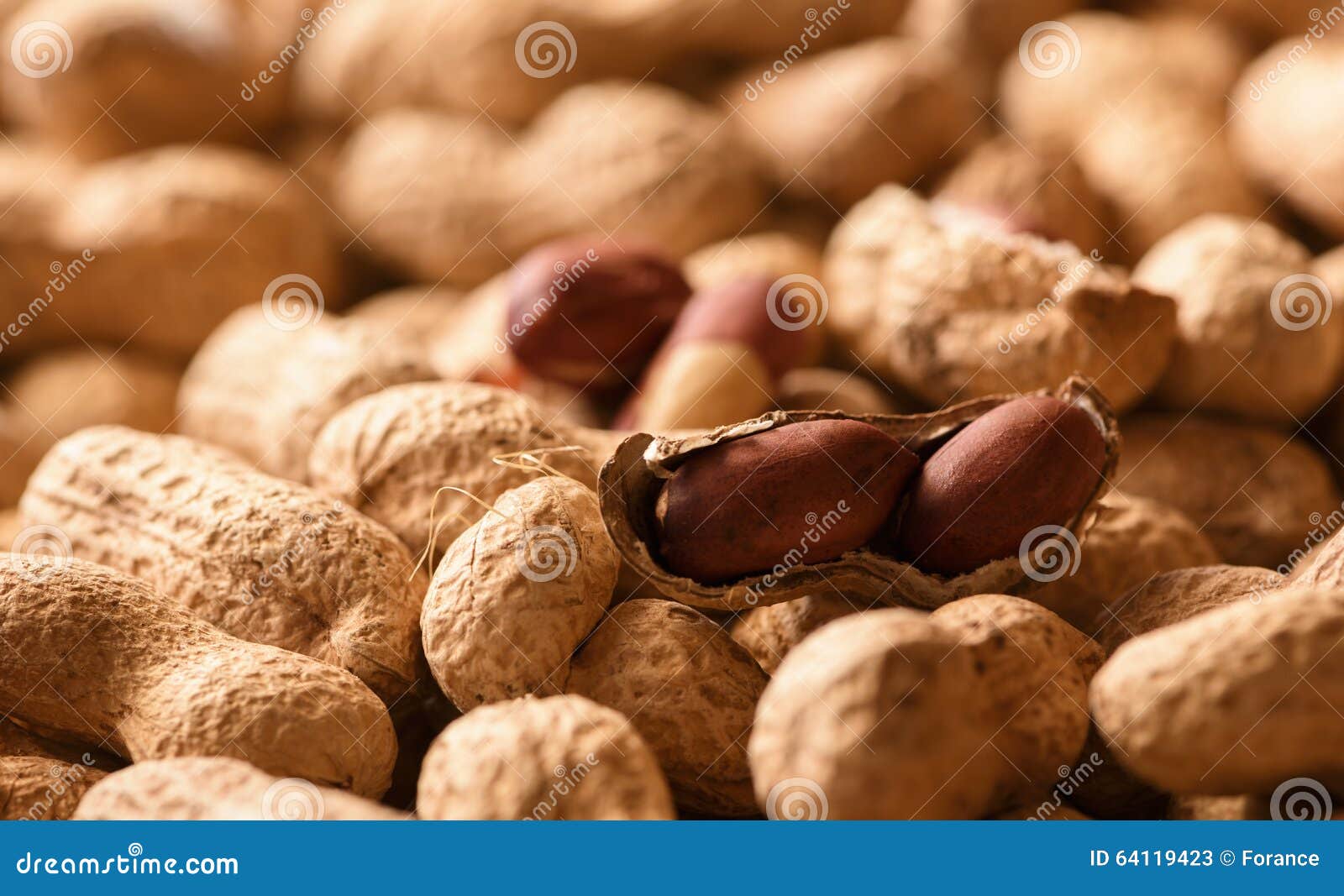 Cracked Open Peanuts Closeup Stock Image - Image of peanuts, food: 64119423
