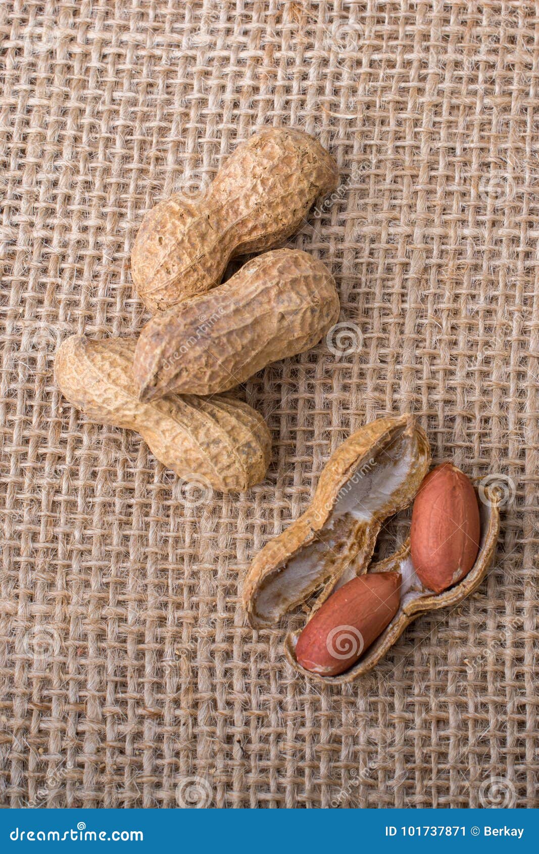 Cracked Open Peanuts with Shell on a Linen Canvas Stock Image - Image ...