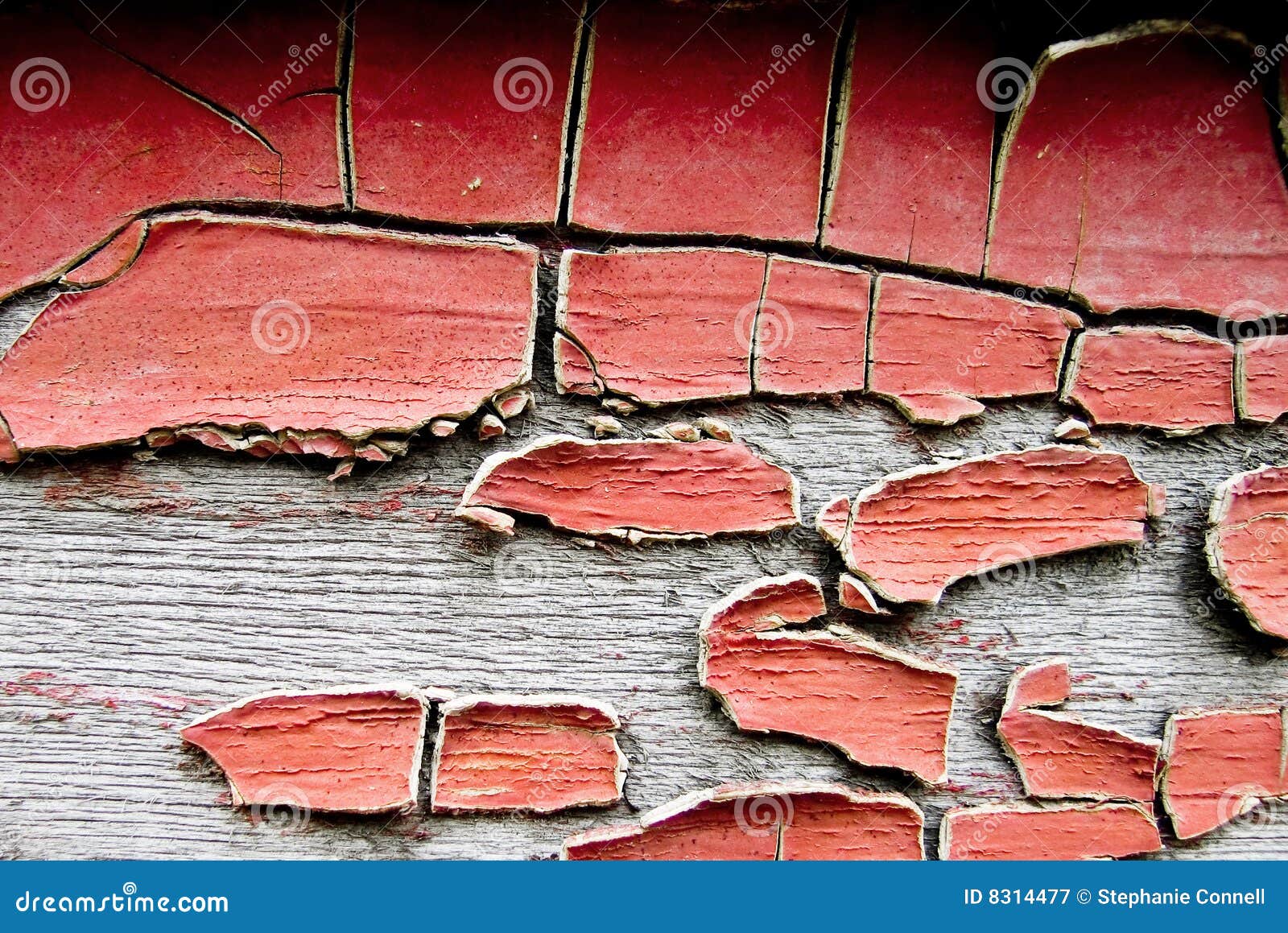 Cracked Paint stock image. Image of texture, disrepair - 8314477