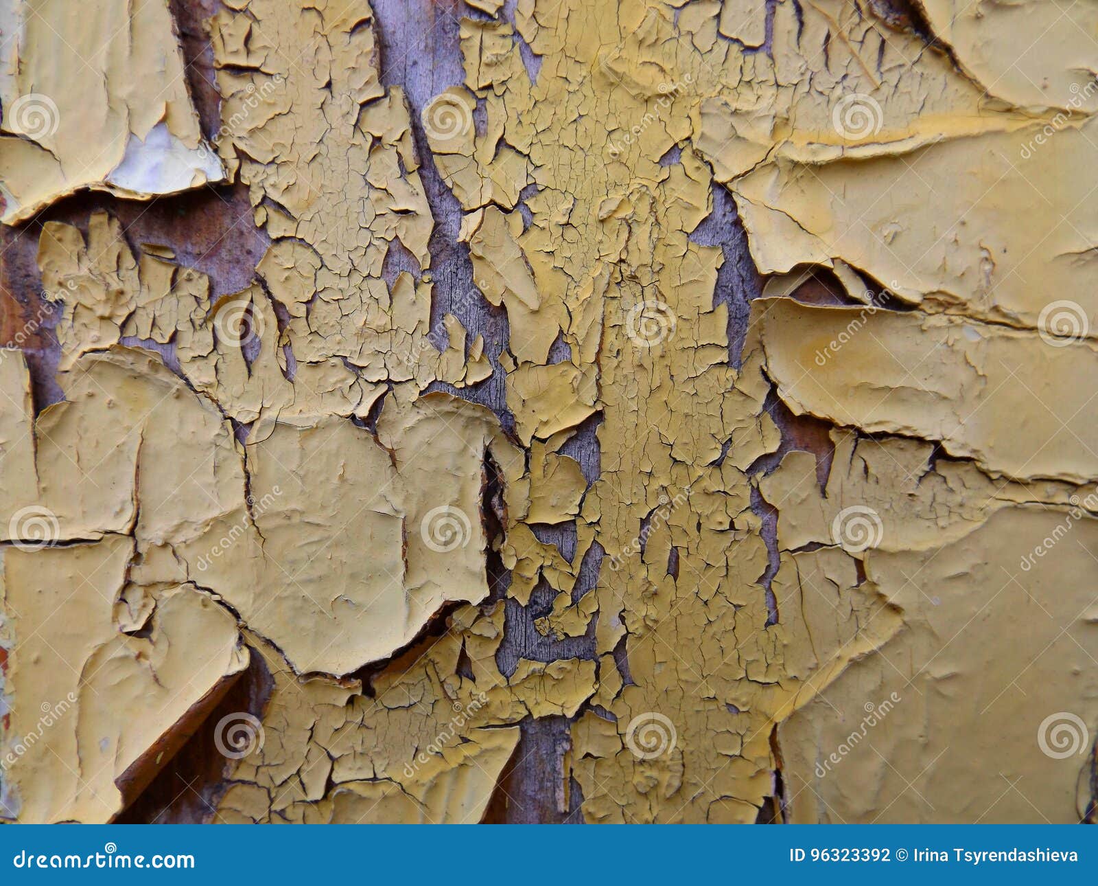 Cracked paint stock photo. Image of paint, crack, wooden - 96323392