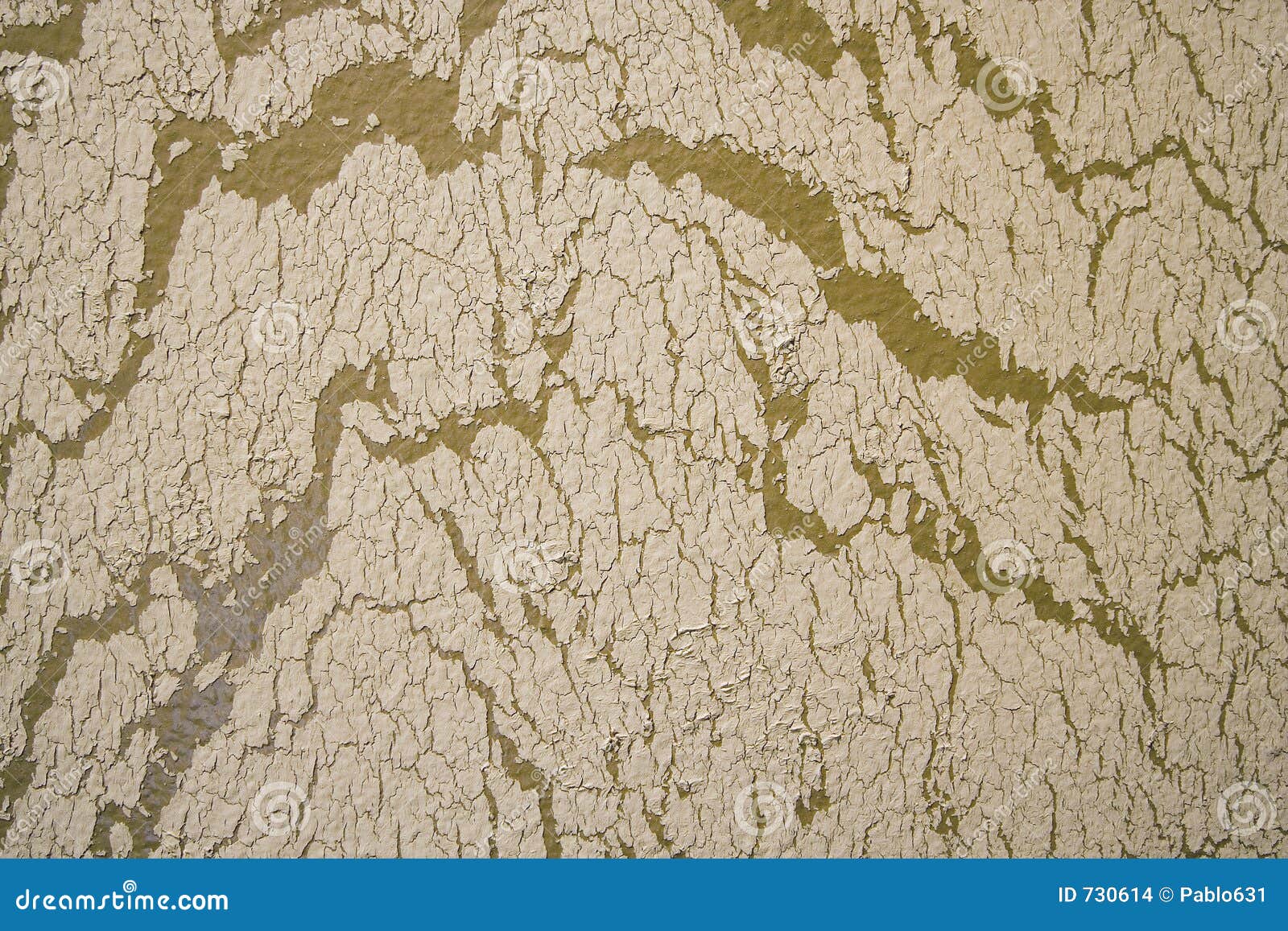 Cracked paint texture stock photo. Image of aged, ripped - 730614