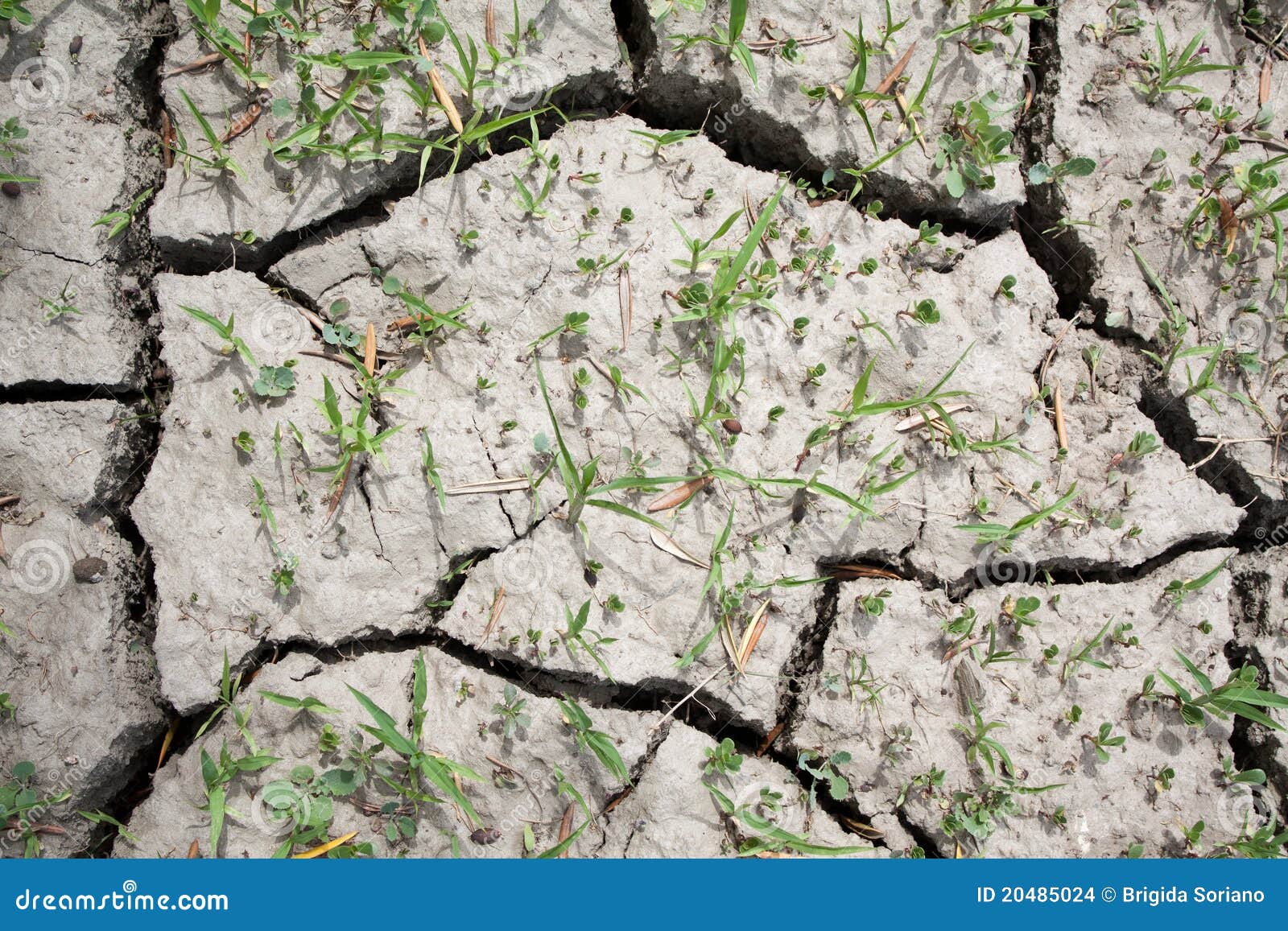 Cracked and Parched Dry Land in Drought Stock Photo - Image of nature ...