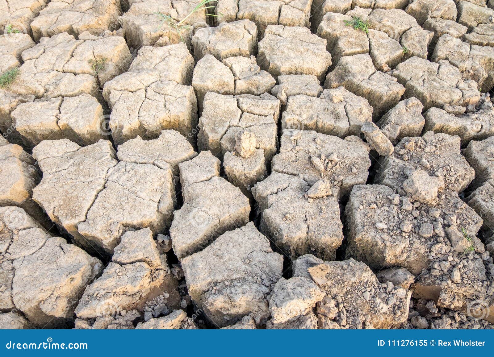 Cracked, Parched Land After A Long Dry Season Royalty-Free Stock Photo ...