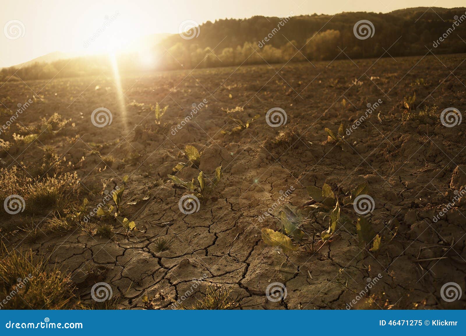 Cracked, Parched Land After A Long Dry Season Royalty-Free Stock Photo ...