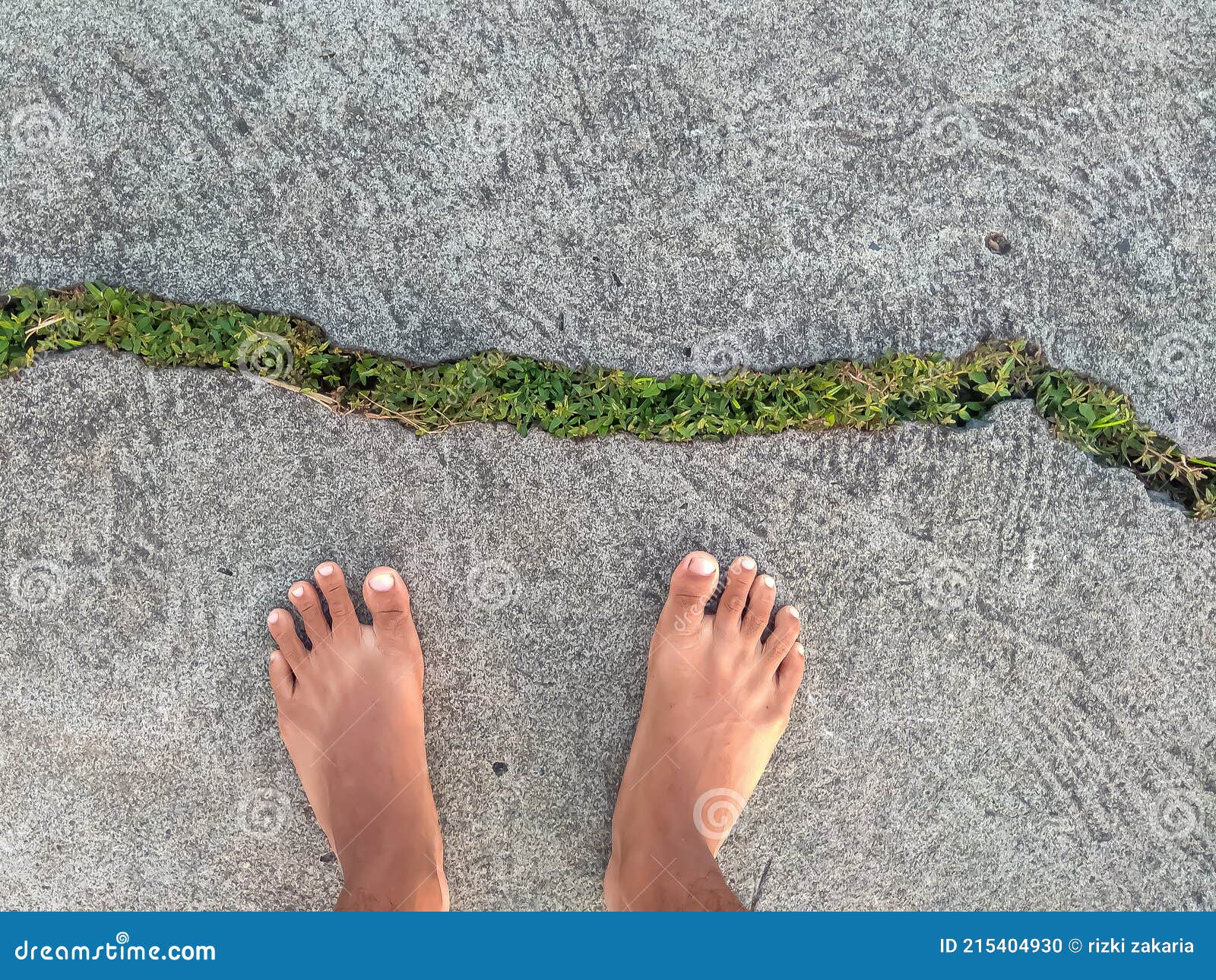 A Cracked Path Overgrown with Weeds Stock Photo - Image of lawn, floor ...