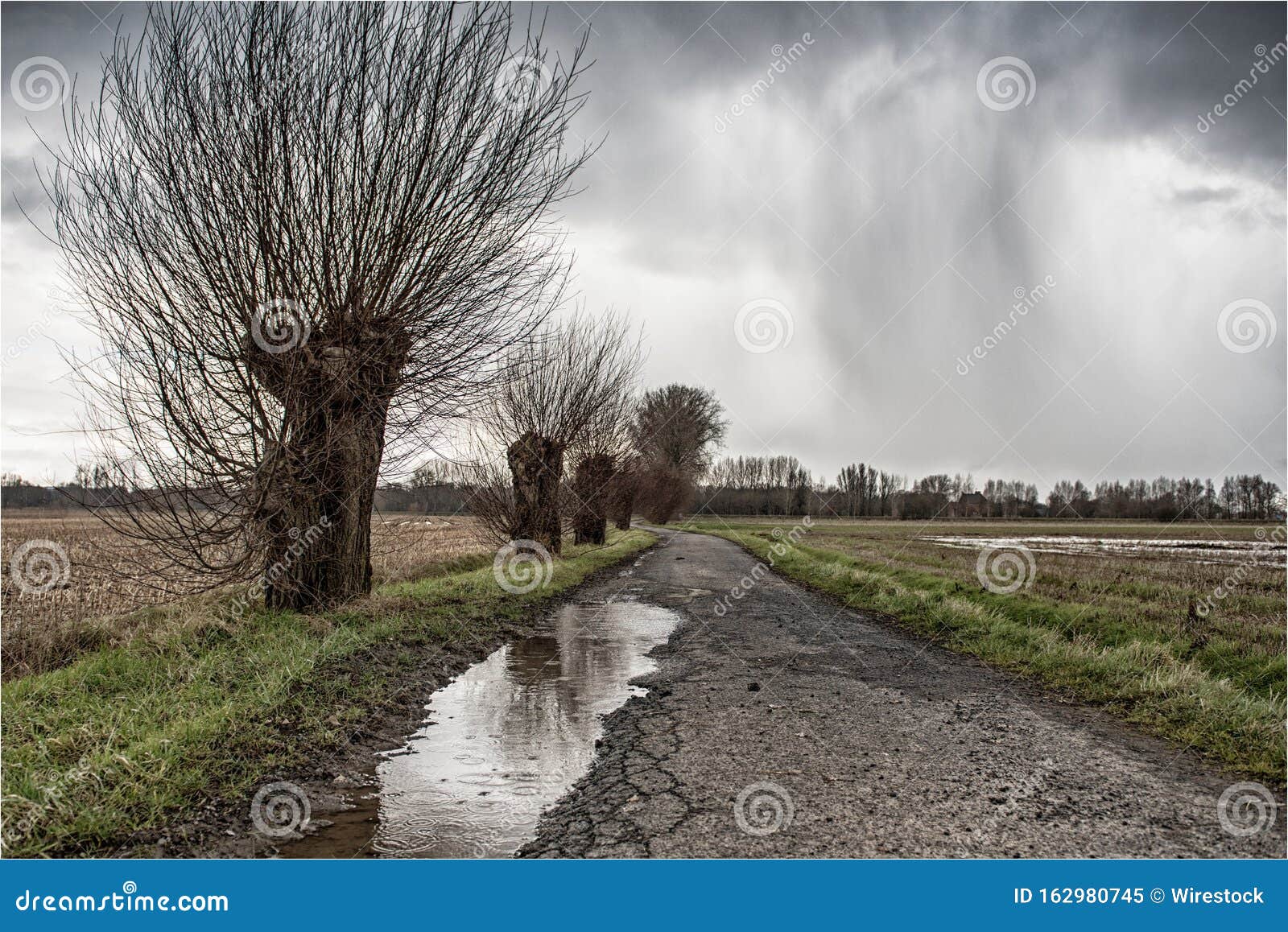 Cracked Mud Pathway With Dried Texture Royalty-Free Stock Photography ...