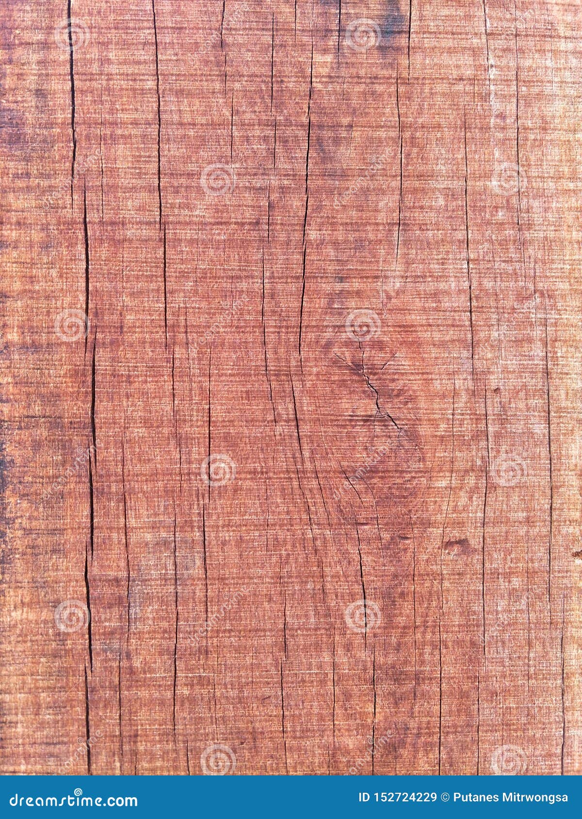 Cracked Pattern of Hard Wood Surface Texture with Traces of Saw Blade ...