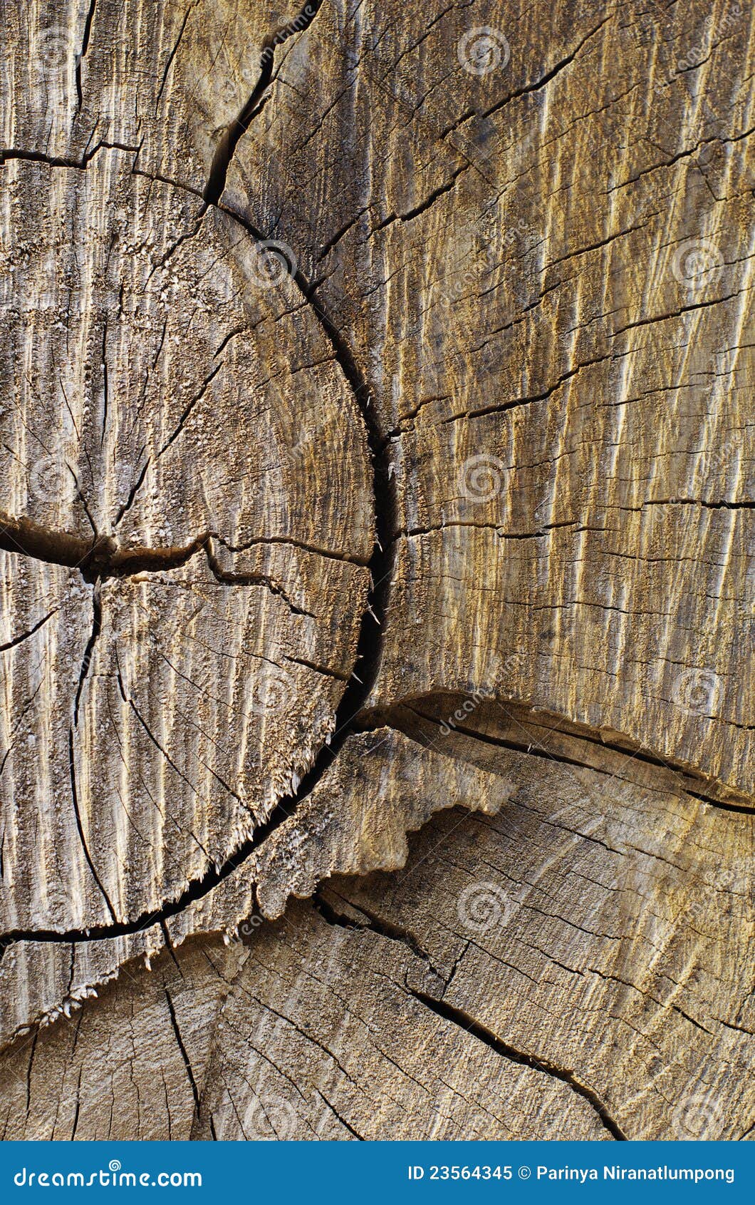 Cracked Pattern of Log stock image. Image of material - 23564345
