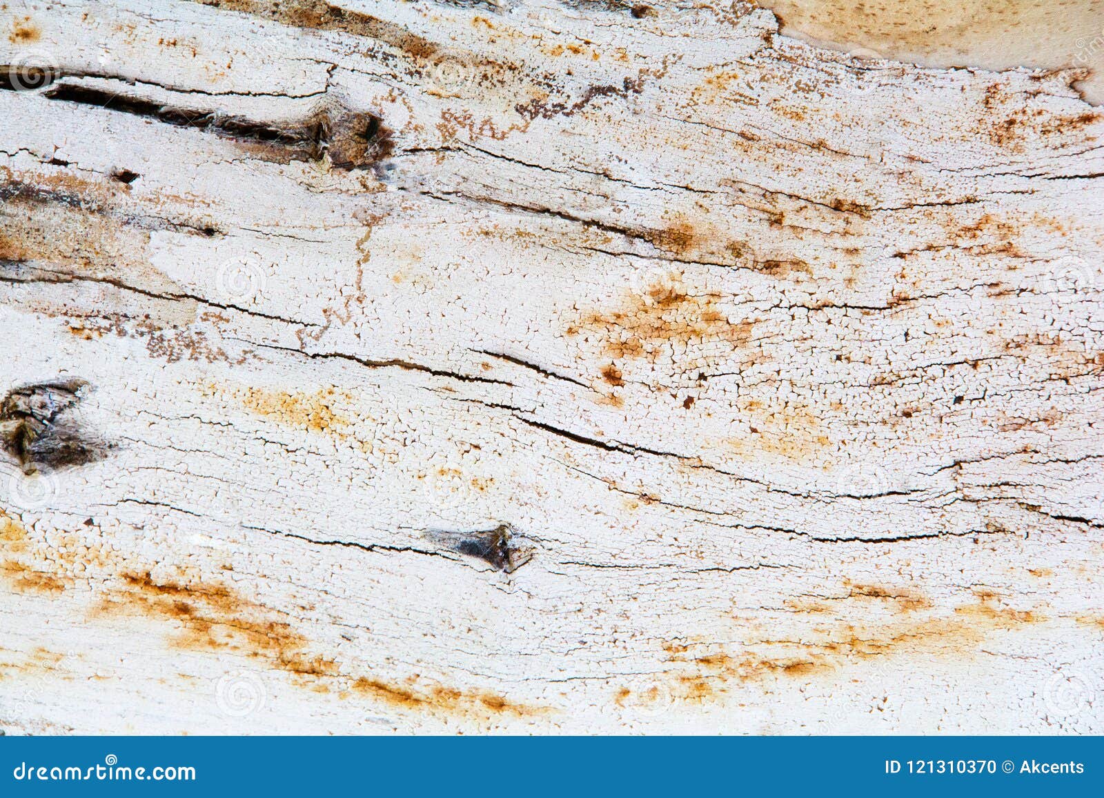 Cracked and Peeling Tree Bark Texture Stock Photo - Image of detail ...