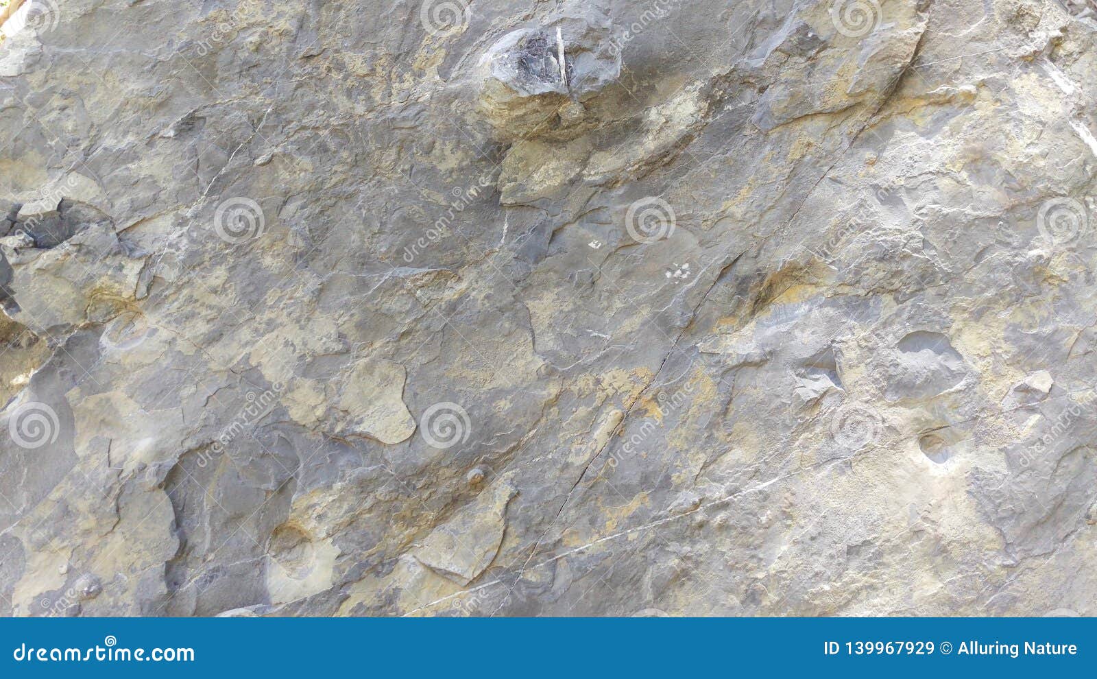 A Cracked and Pitted Boulder Stock Image - Image of textured, cracked ...